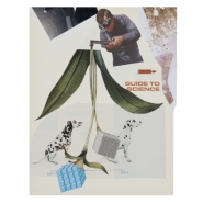 Buy Art Online | Affordable Art For Sale | Rise Art