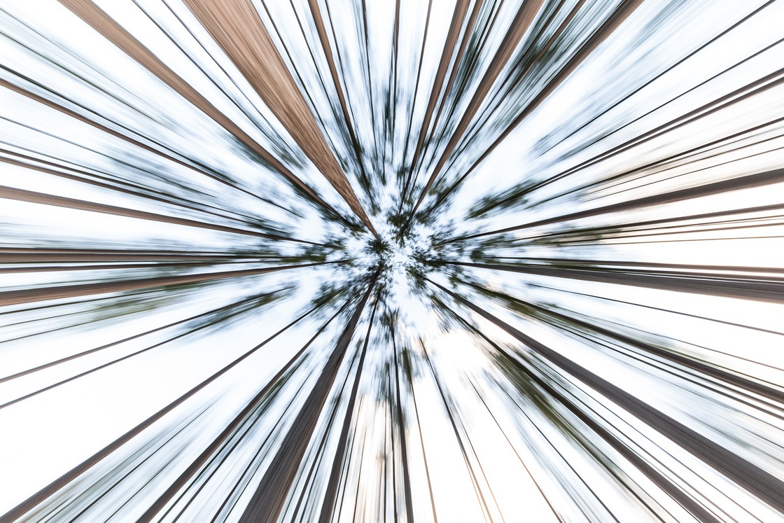 Vertigo 1 by Nick Miners | Buy Art Online | Rise Art