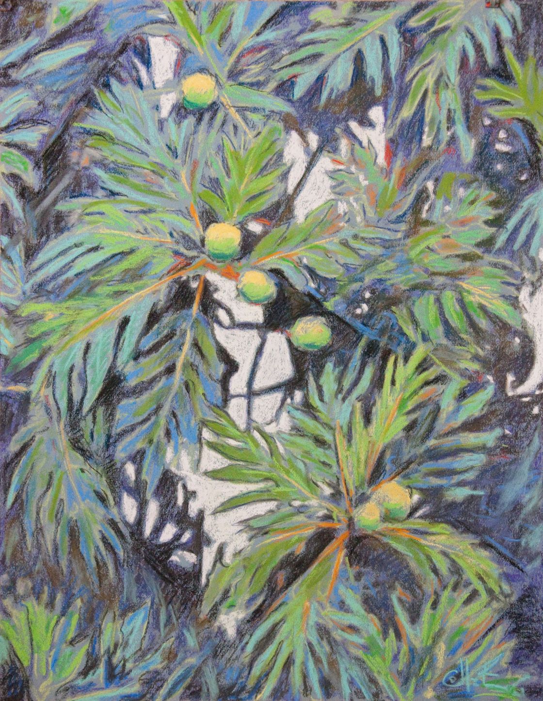 Les fruits de l'arbre à pain by Bernard Marie Collet | Buy Art Online ...