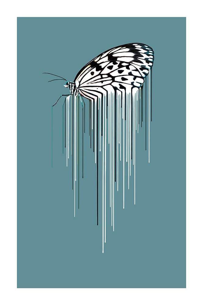 Butterfly by Carl Moore | Buy Art Online | Rise Art