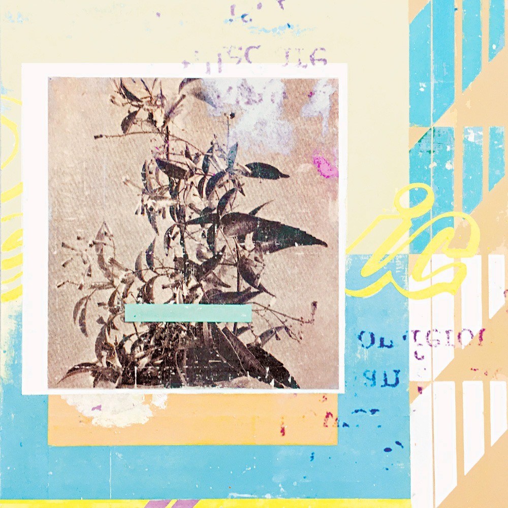 Bigonia par Kareem Rizk | Acheter de l'art en ligne | Rise Art