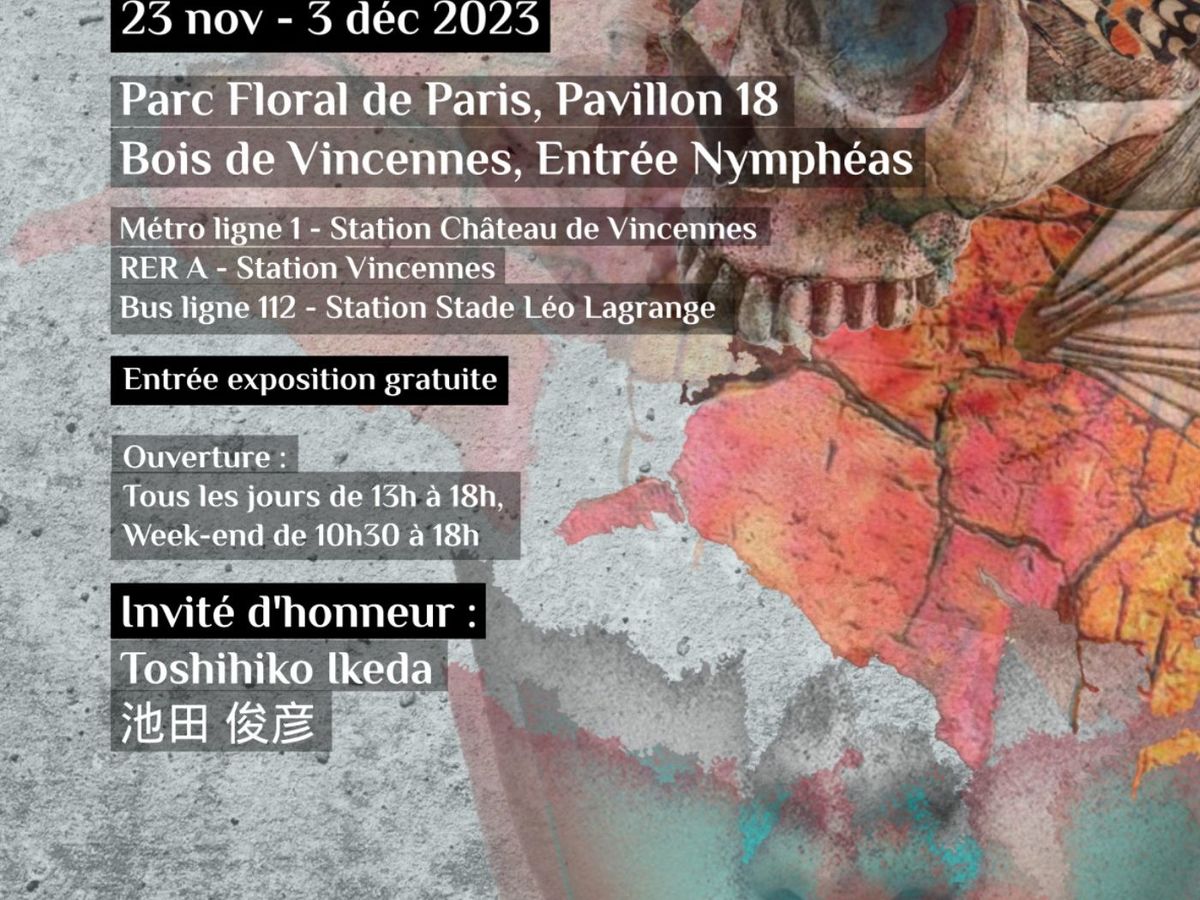 DF Art Project | Art Event | Rise Art