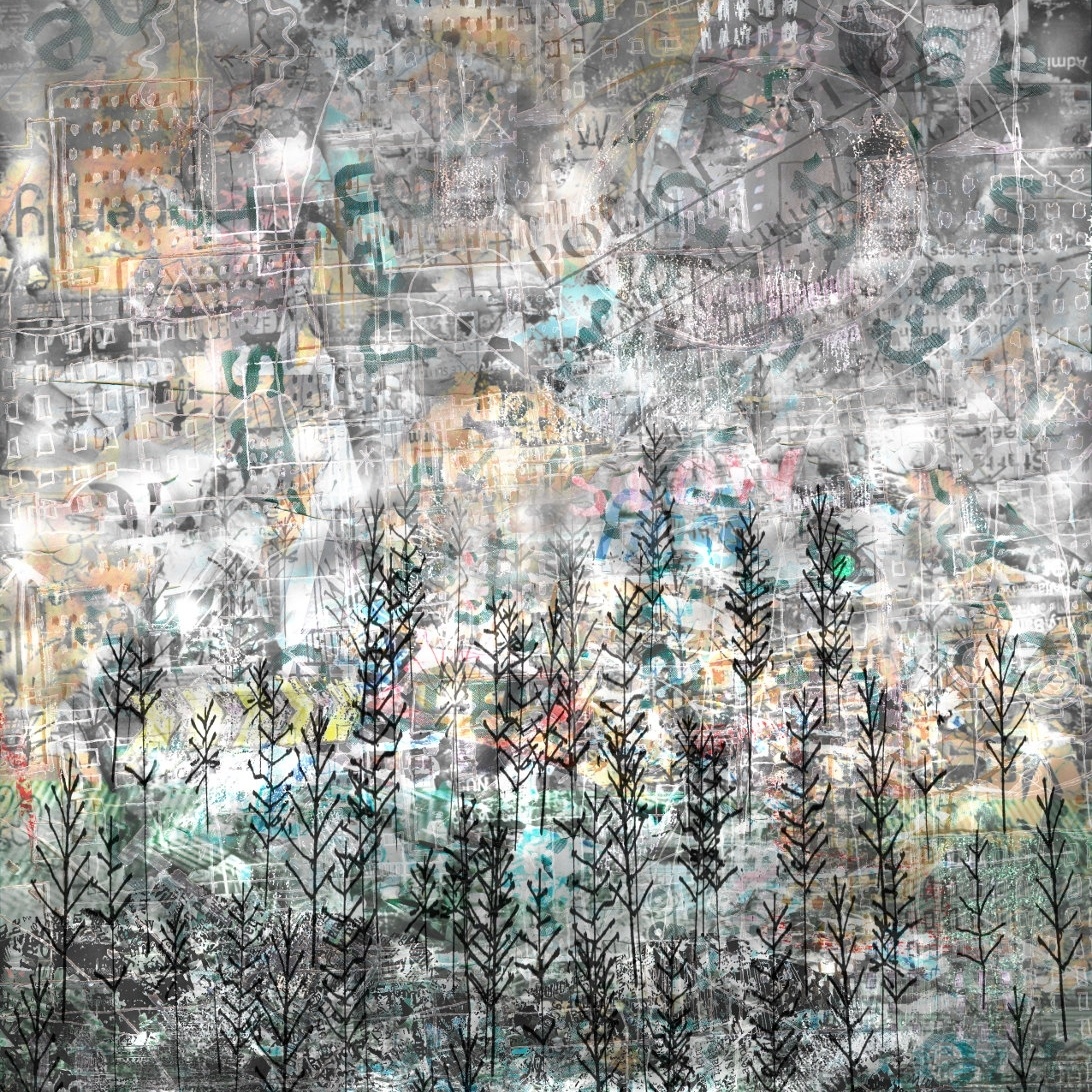 First Light by Andy Mercer | Buy Art Online | Rise Art