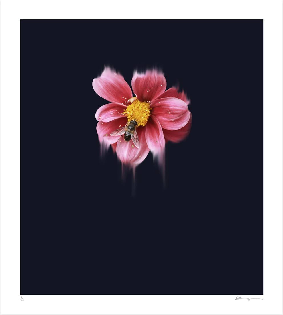 Forager II von Simone Ember | Kunst online kaufen | Rise Art