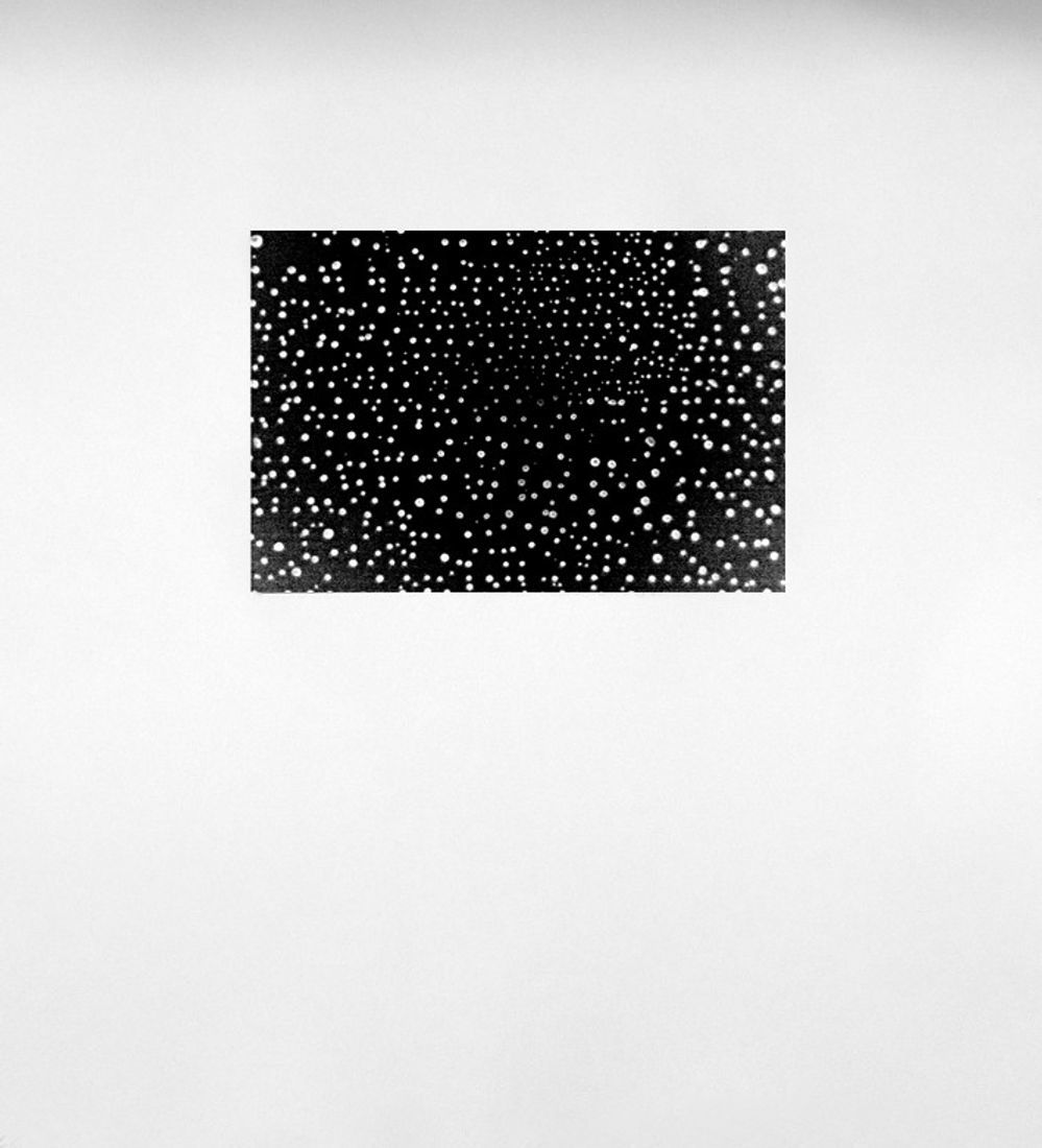 Lcd helio gravure XII by Juliana Borinski | Buy Art Online | Rise Art