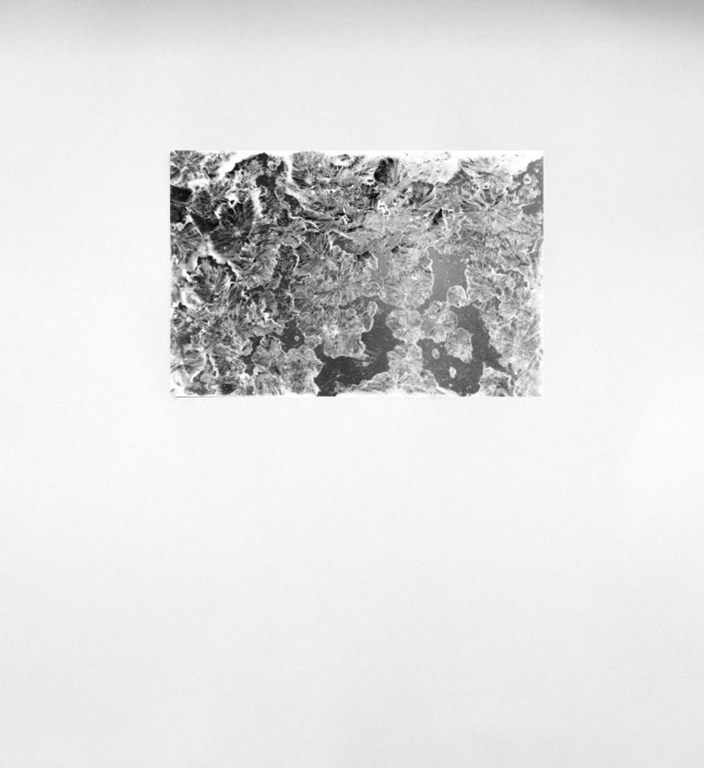Lcd helio gravure III von Juliana Borinski | Kunst online kaufen | Rise Art