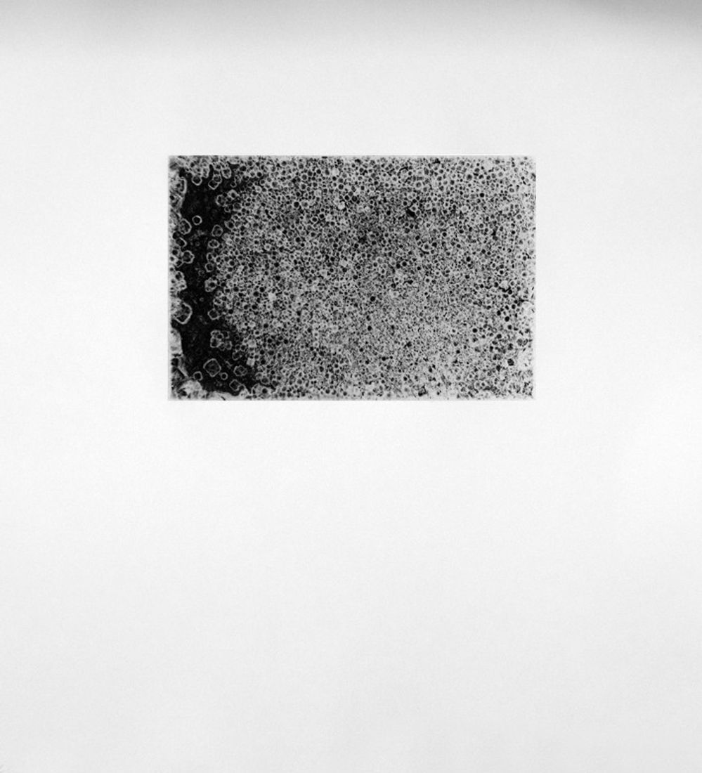 Lcd helio gravure I by Juliana Borinski | Buy Art Online | Rise Art