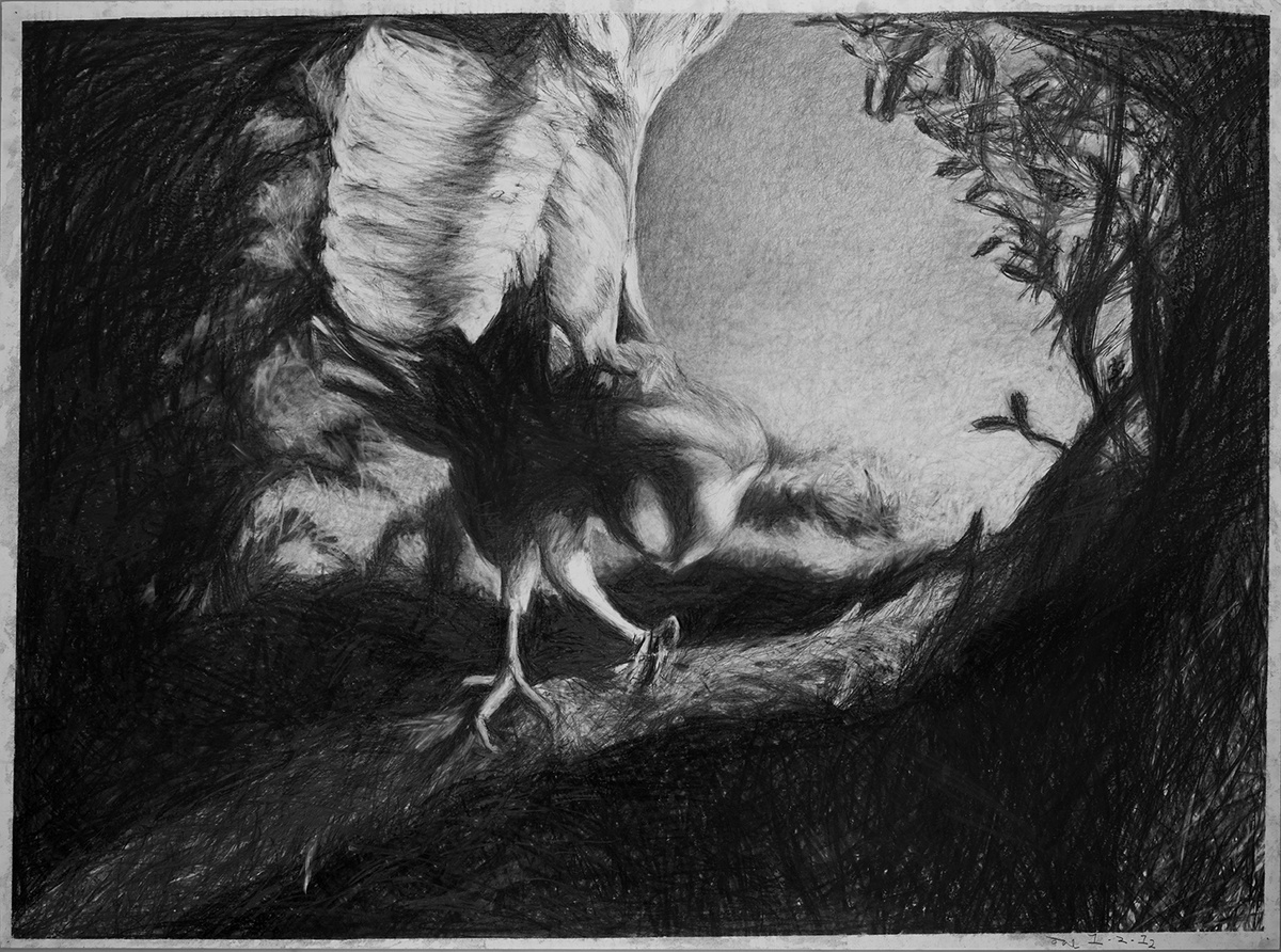 It's A Hard World For Little Things: Owl #4 par C-A Halpin | Acheter de ...