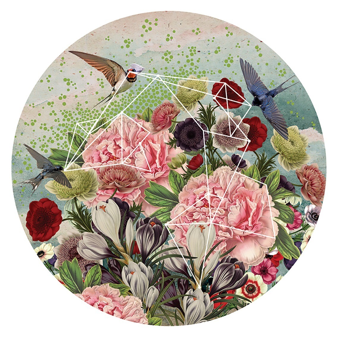 Swallow by Alexandra Gallagher | Buy Art Online | Rise Art