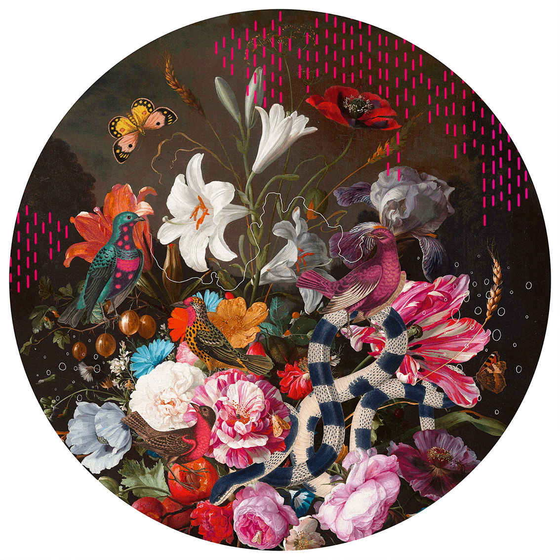 Serendipity's Rainbow by Alexandra Gallagher | Buy Art Online | Rise Art