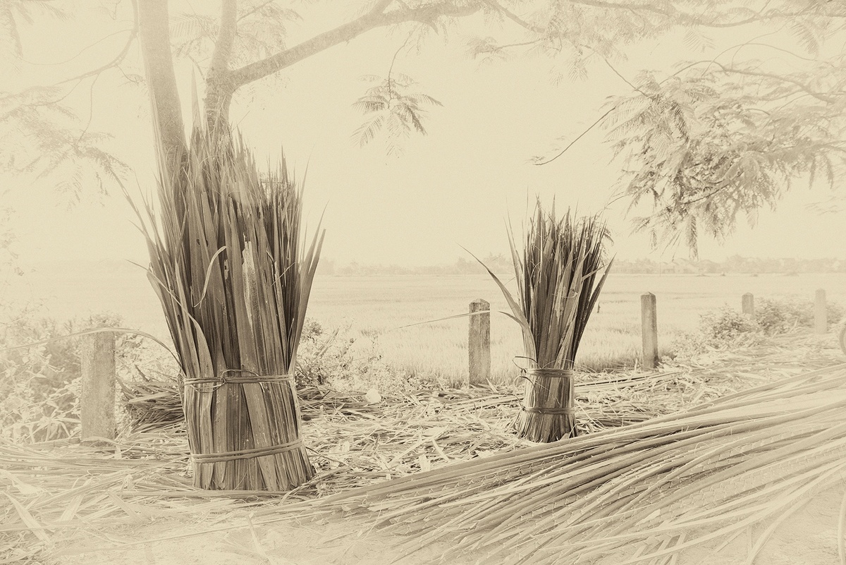 THE HARVEST par Andrew Lever | Acheter de l'art en ligne | Rise Art