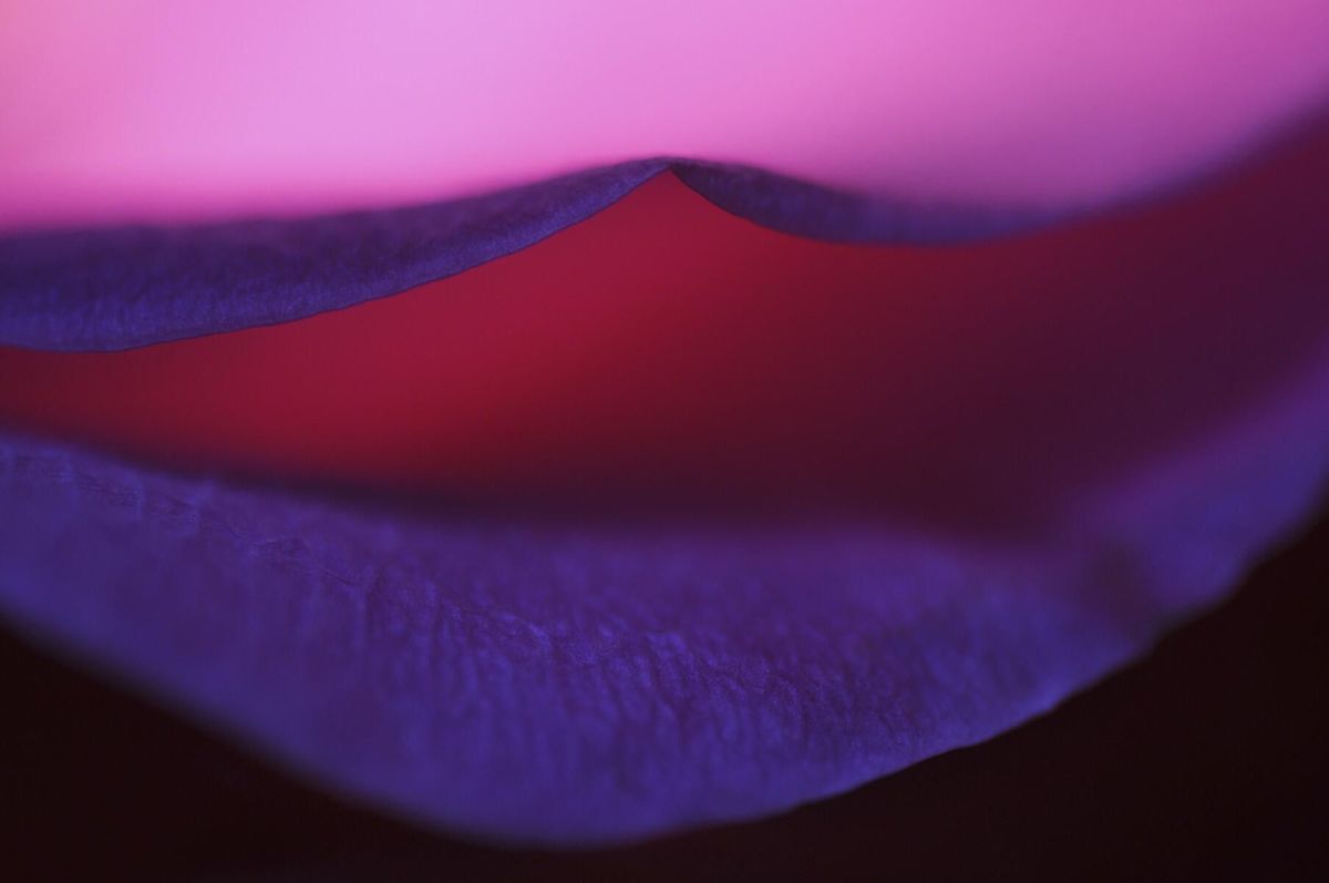 Indécent 18 by Jacques Beun | Buy Art Online | Rise Art