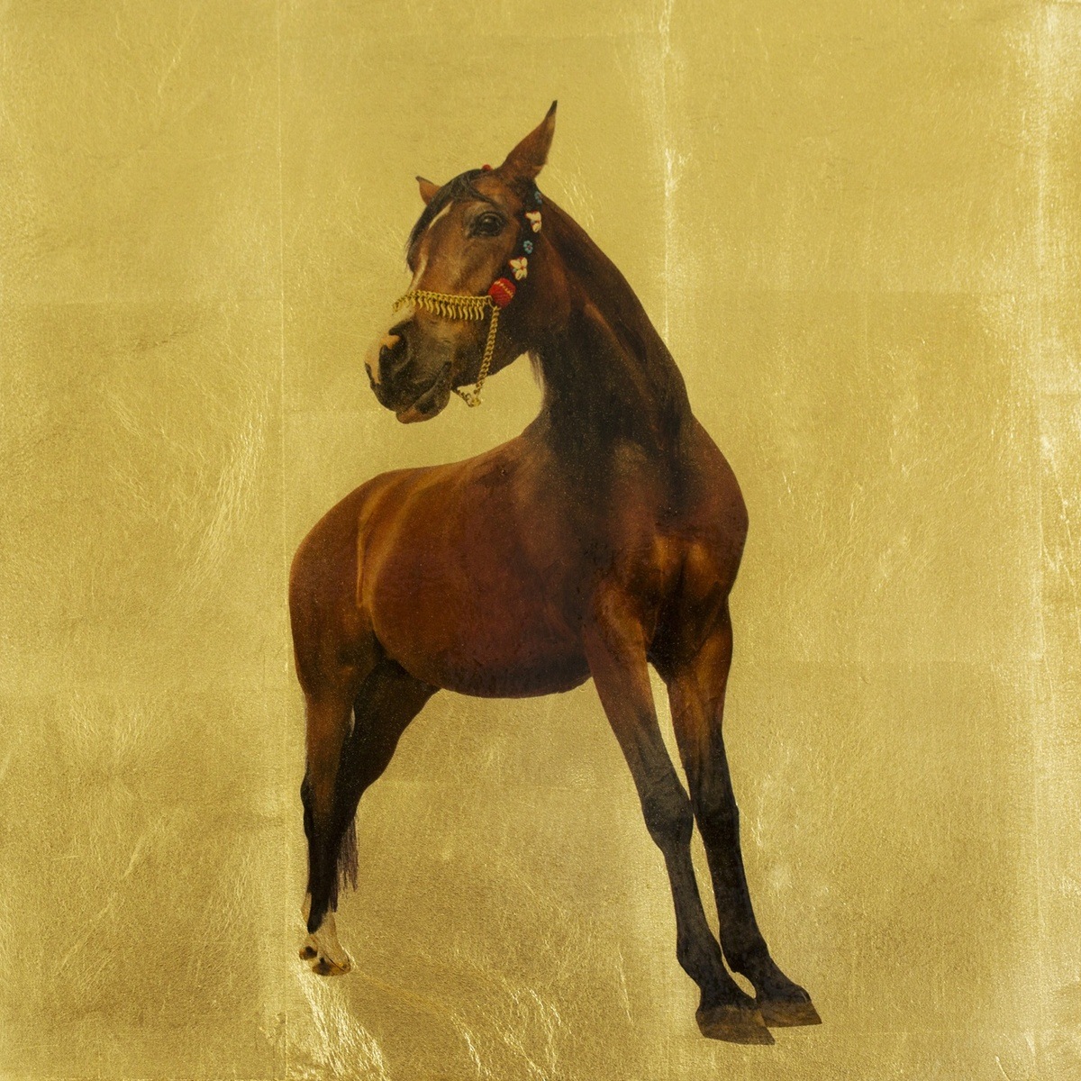 Equis II by Robert Pereira Hind | Buy Art Online | Rise Art