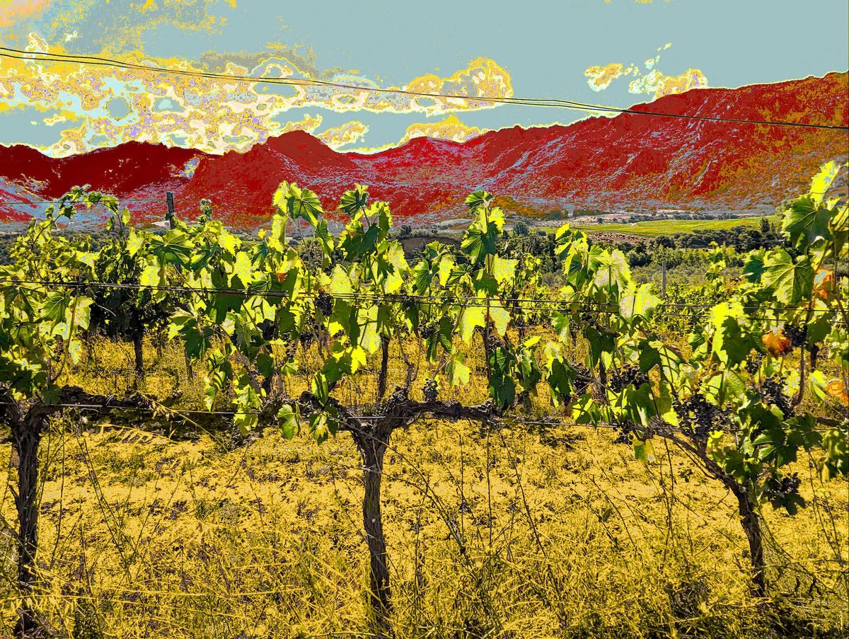 Les Vibrations de la vigne #10 von Gaëlle Cueff | Kunst online kaufen ...