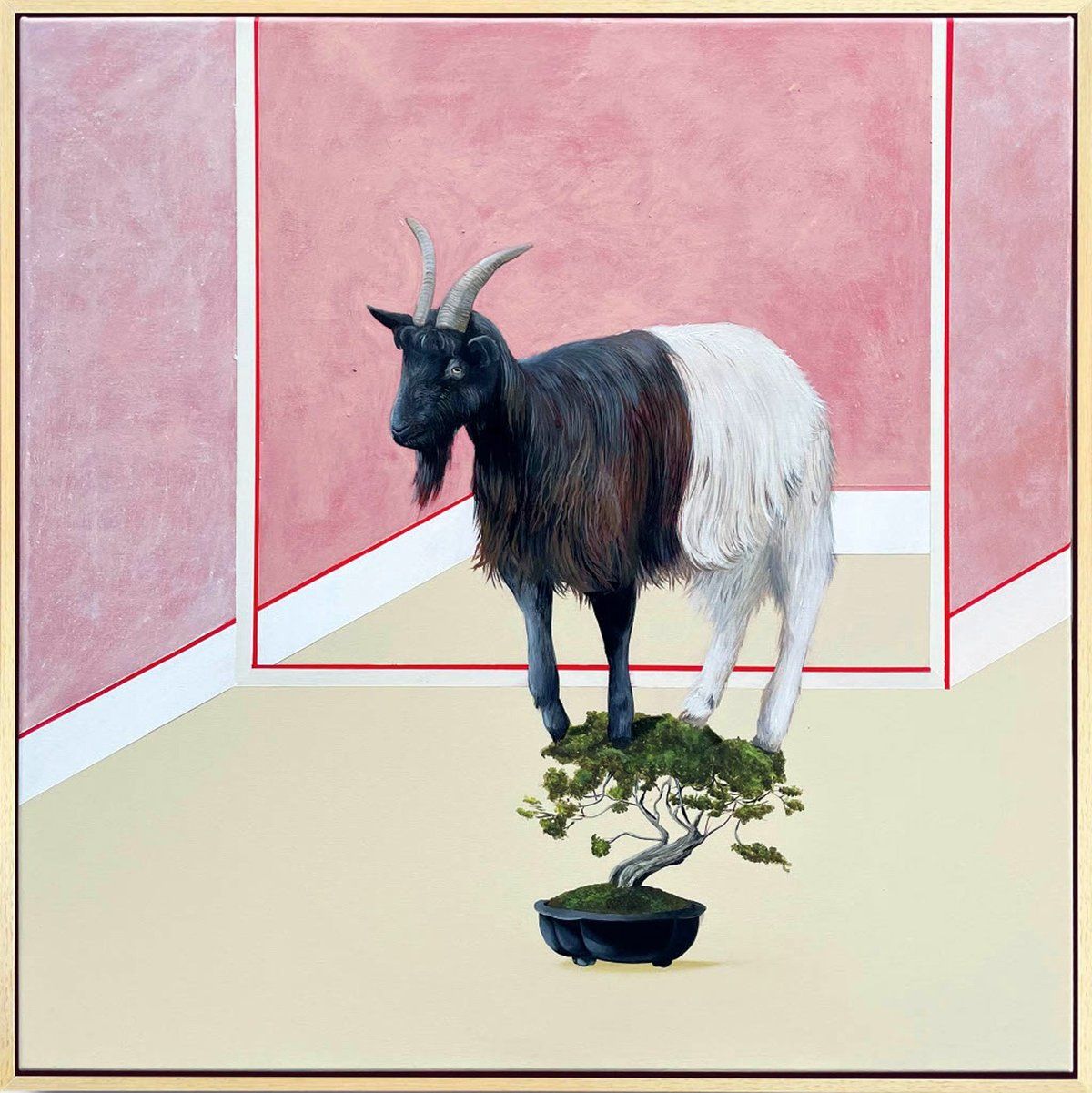 Bonsai Goat IV by Joshua Daniels | Buy Art Online | Rise Art