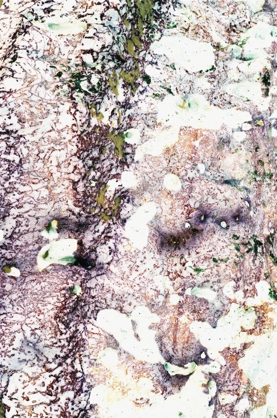 Thrombosis par Paris Ackrill | Acheter de l'art en ligne | Rise Art