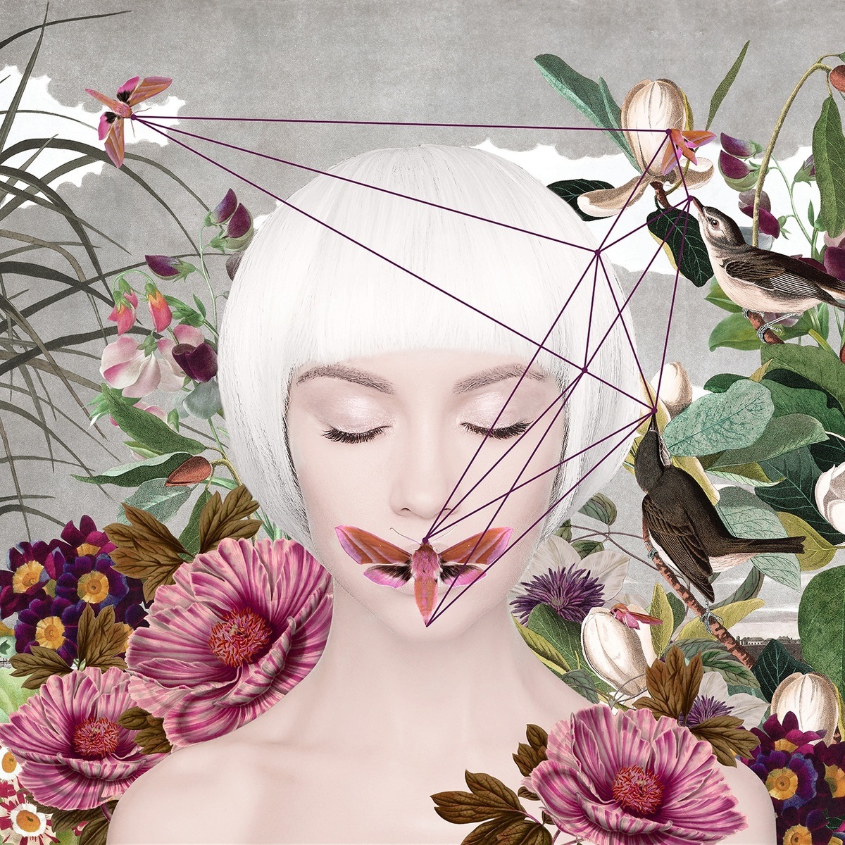 Towards Truth by Alexandra Gallagher | Buy Art Online | Rise Art