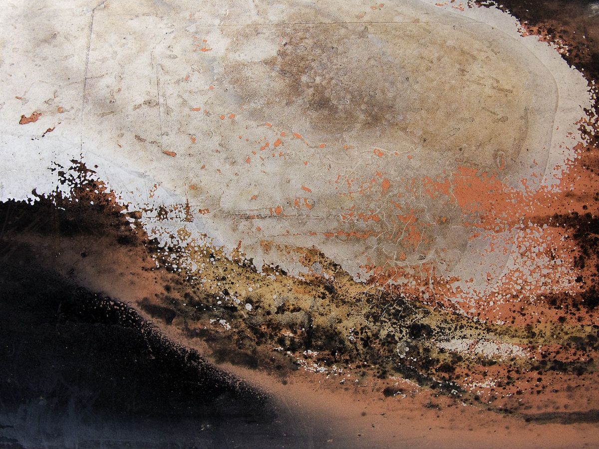 Zao by Michèle Sainte-Beuve | Buy Art Online | Rise Art