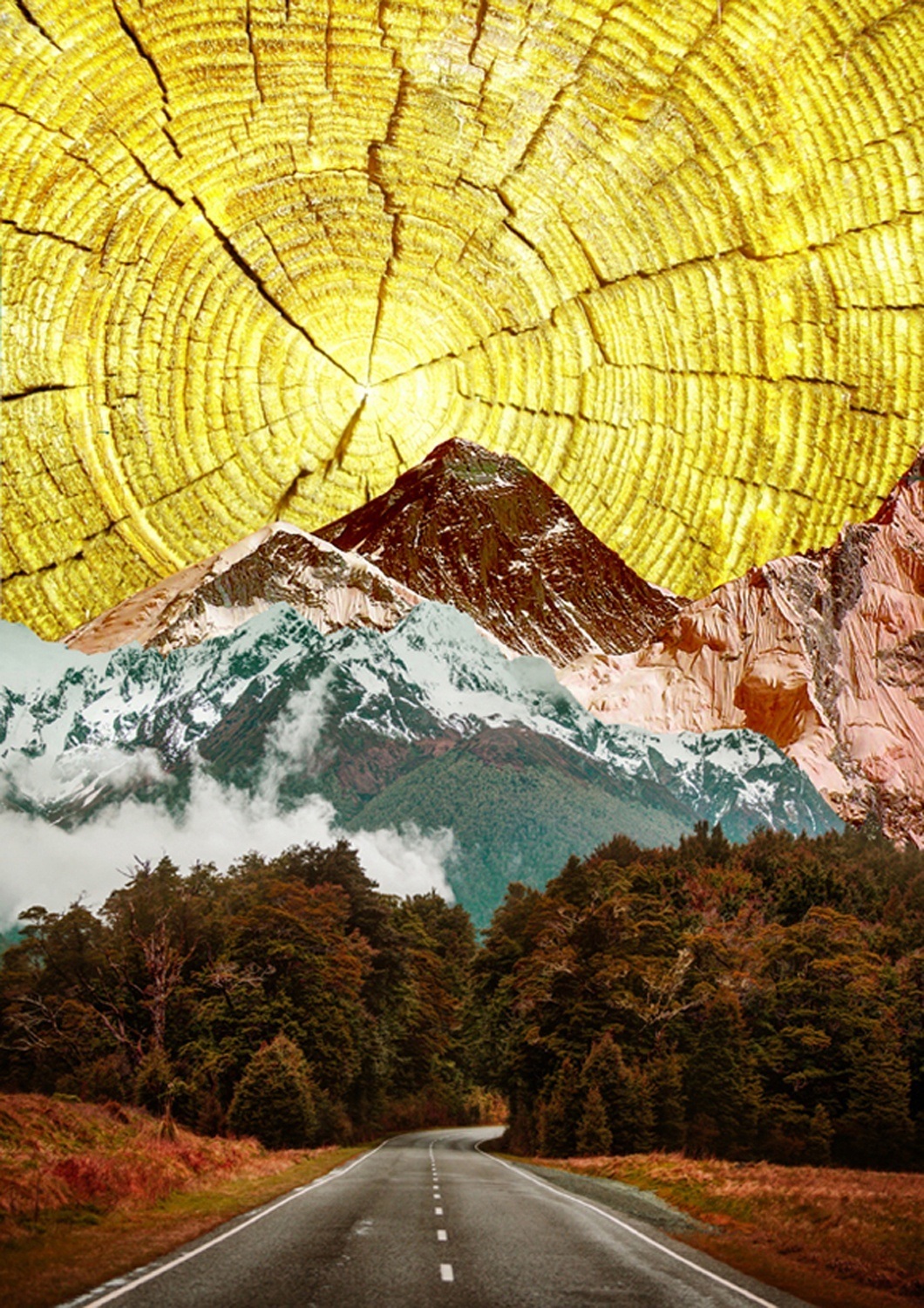 My sunshine by Alexandra Gallagher | Buy Art Online | Rise Art