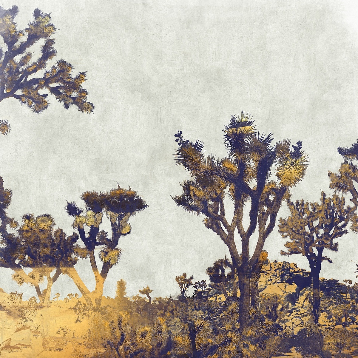 Joshua Tree by Nadia Attura | Buy Art Online | Rise Art
