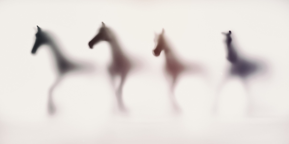 WILD LENS - HORSES IV by Sven Pfrommer | Buy Art Online | Rise Art