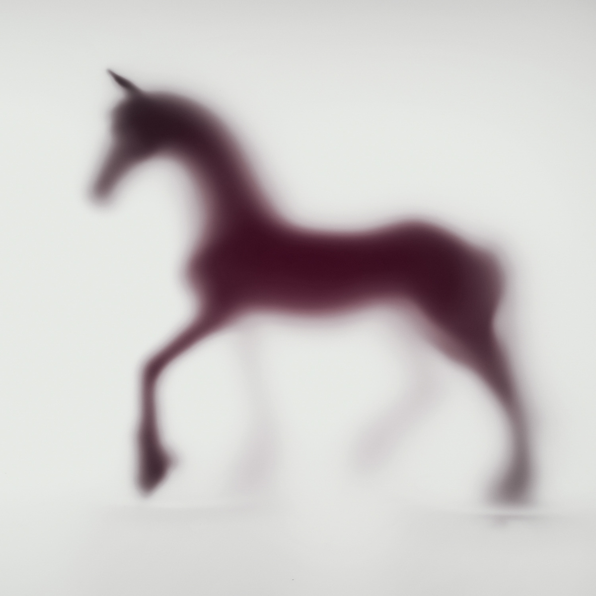 WILD LENS - HORSE XIX by Sven Pfrommer | Buy Art Online | Rise Art