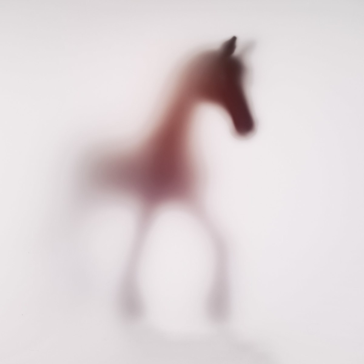 WILD LENS - HORSE XVII by Sven Pfrommer | Buy Art Online | Rise Art