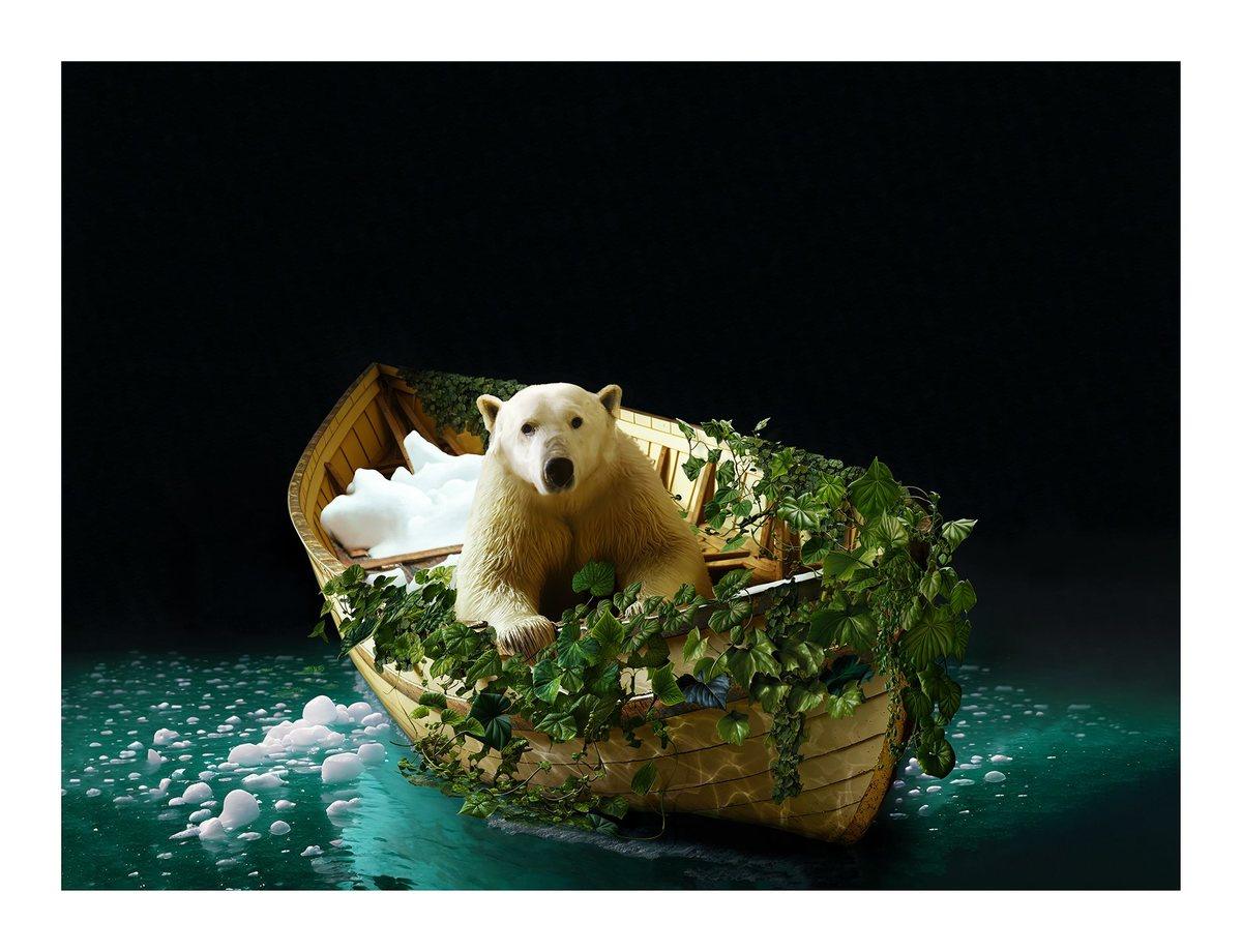 Terra Nova by Carl Moore | Buy Art Online | Rise Art