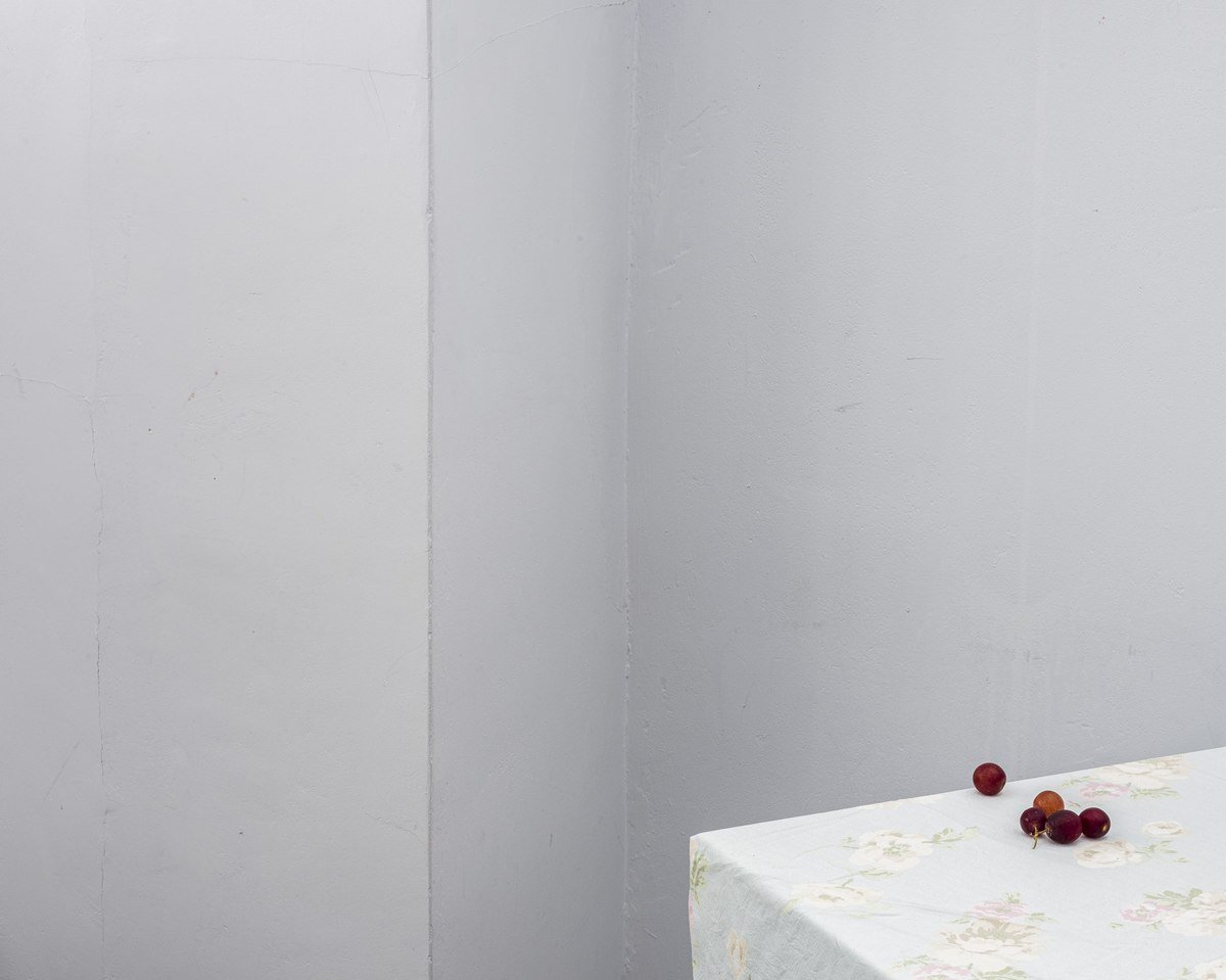Untitled (Grapes) by Paul Coghlin | Buy Art Online | Rise Art