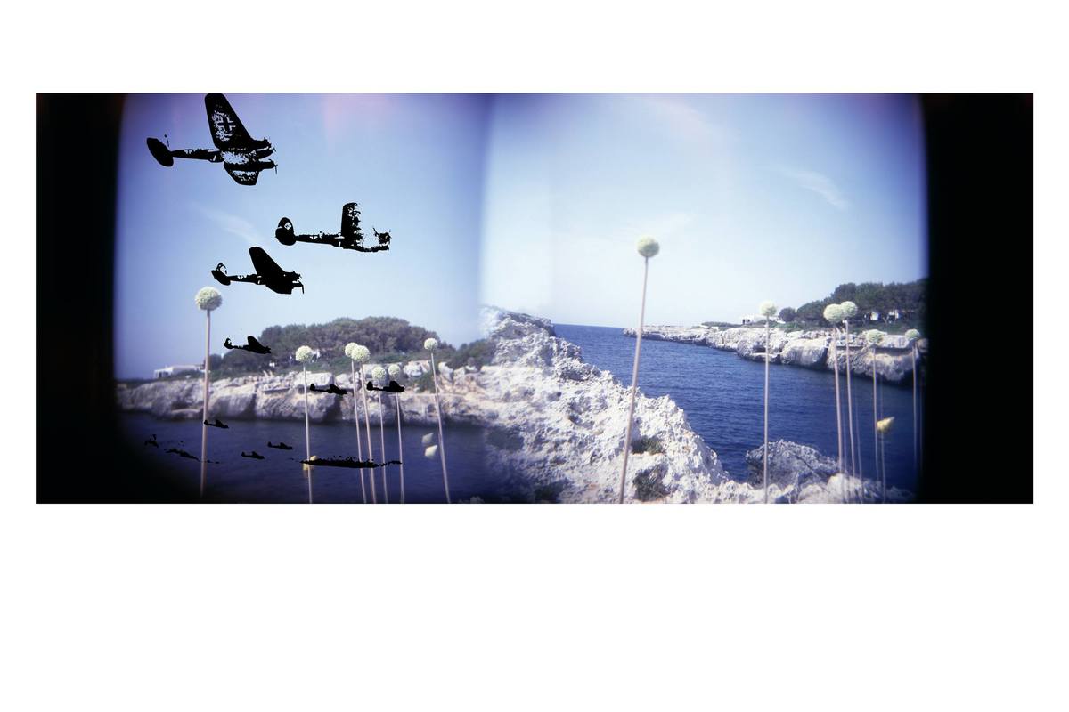 Plane2 by Martin Thompson | Buy Art Online | Rise Art