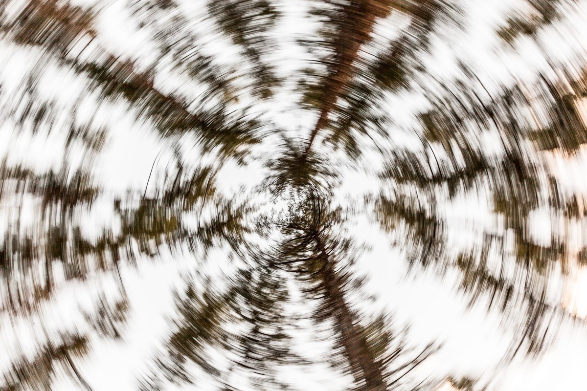 Vertigo 2 by Nick Miners | Buy Art Online | Rise Art