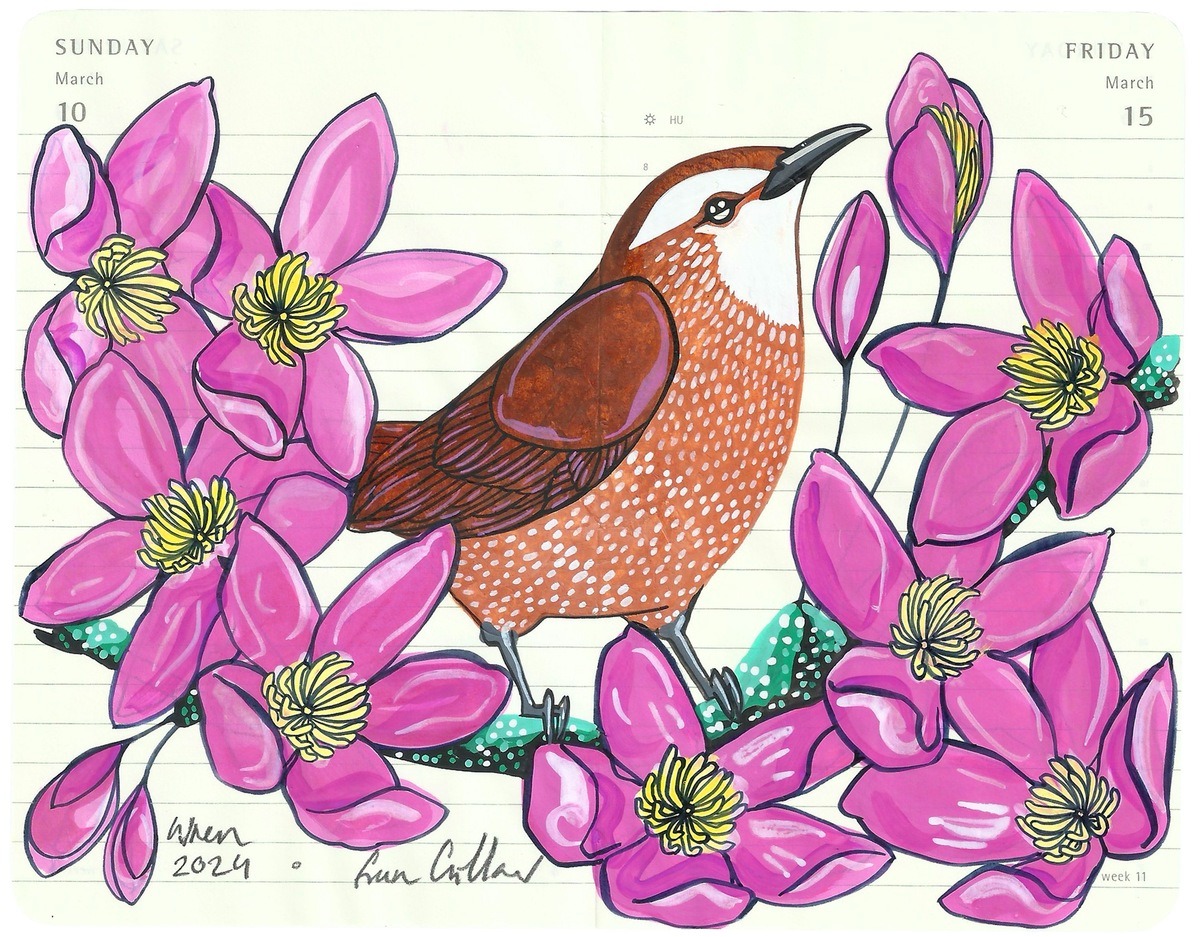 Little Wren par Fran Giffard | Acheter de l'art en ligne | Rise Art