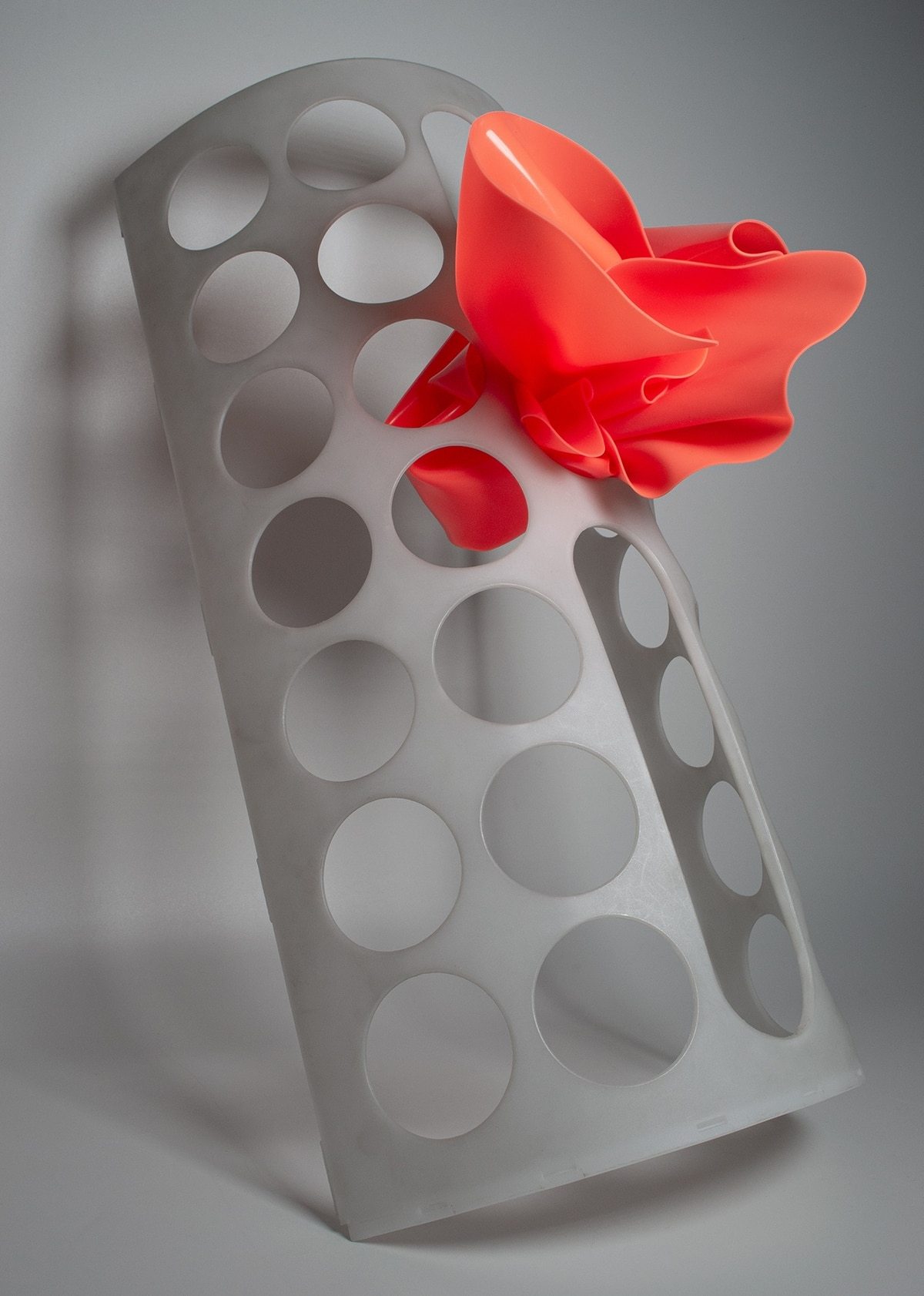 Burst Mode by Sam Haynes | Buy Art Online | Rise Art