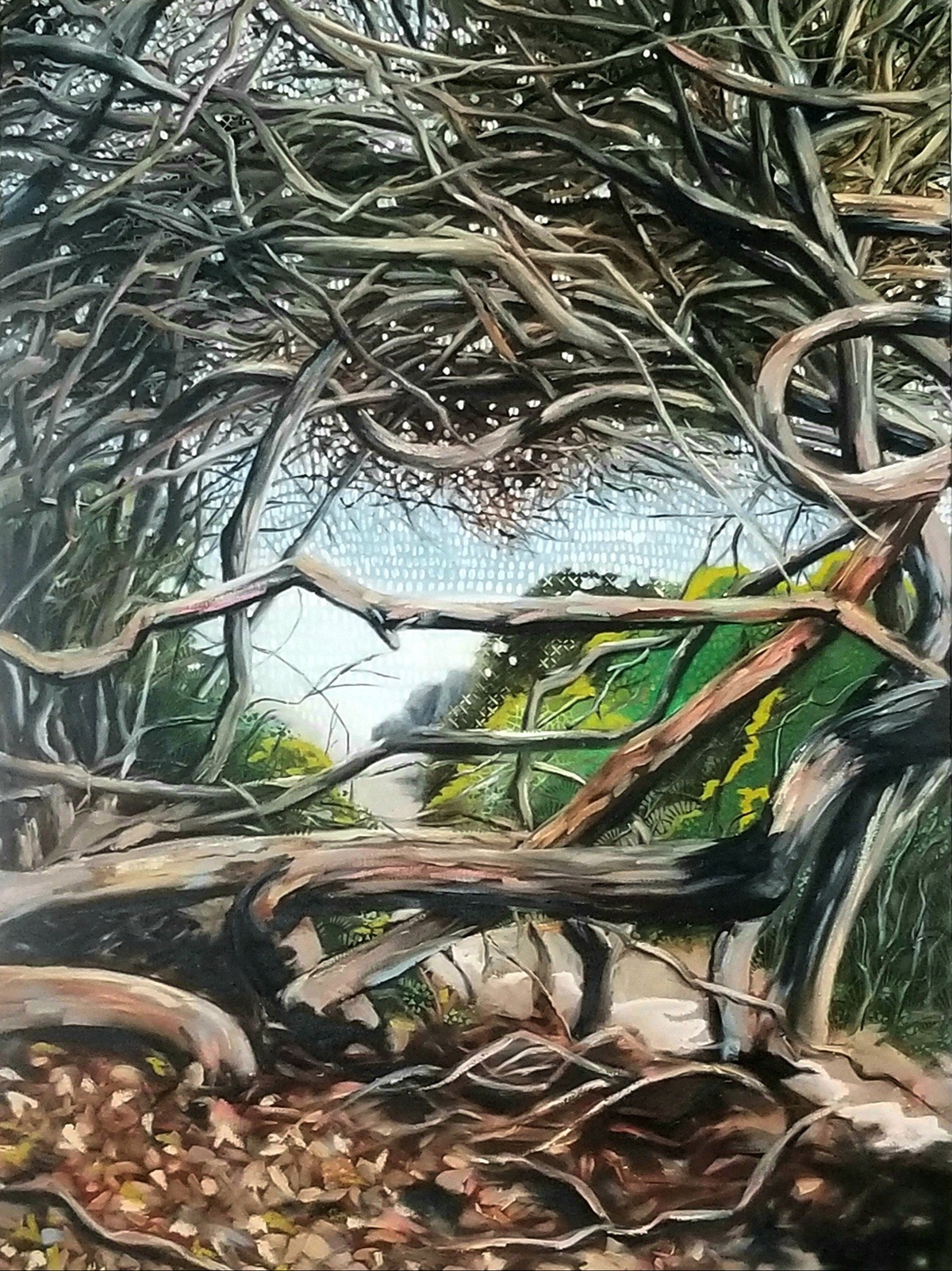 The nature of memory by Lorna Scheepers | Buy Art Online | Rise Art