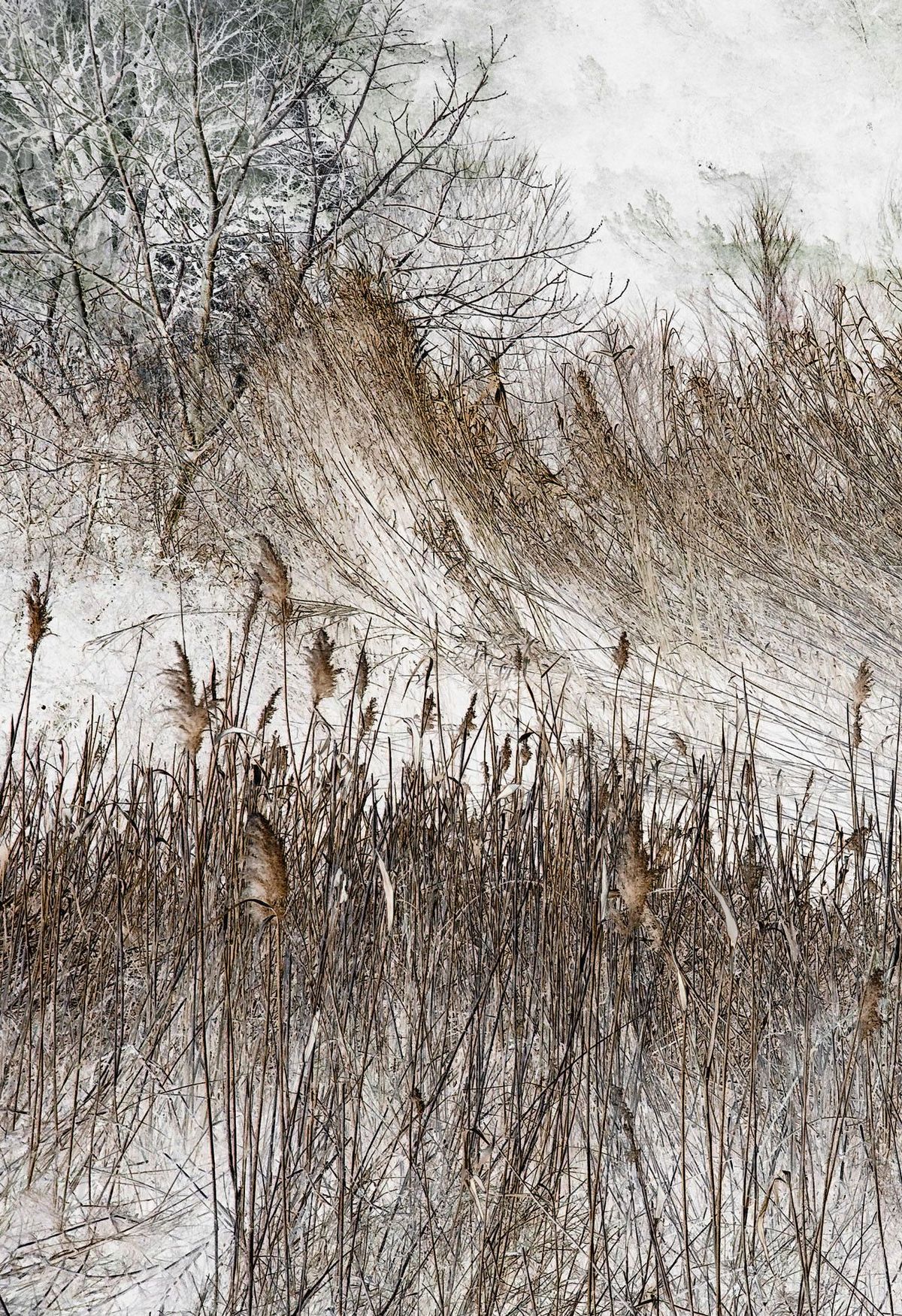 Hamadryades 03 by Michèle Sainte-Beuve | Buy Art Online | Rise Art