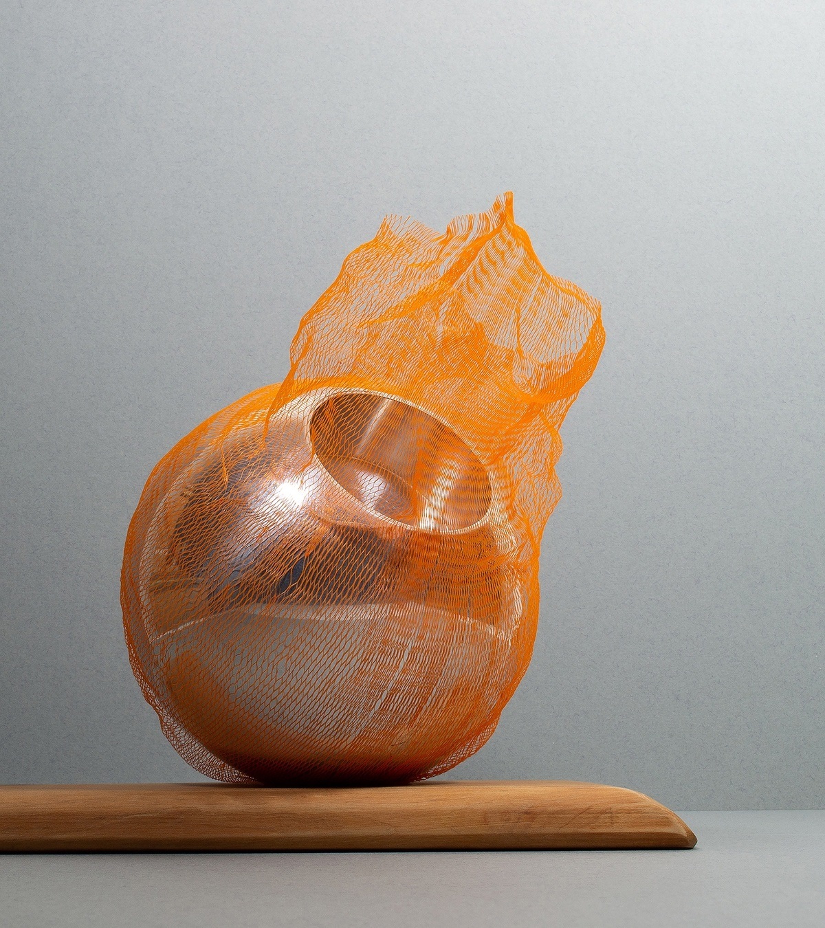 Stellar by Sam Haynes | Buy Art Online | Rise Art