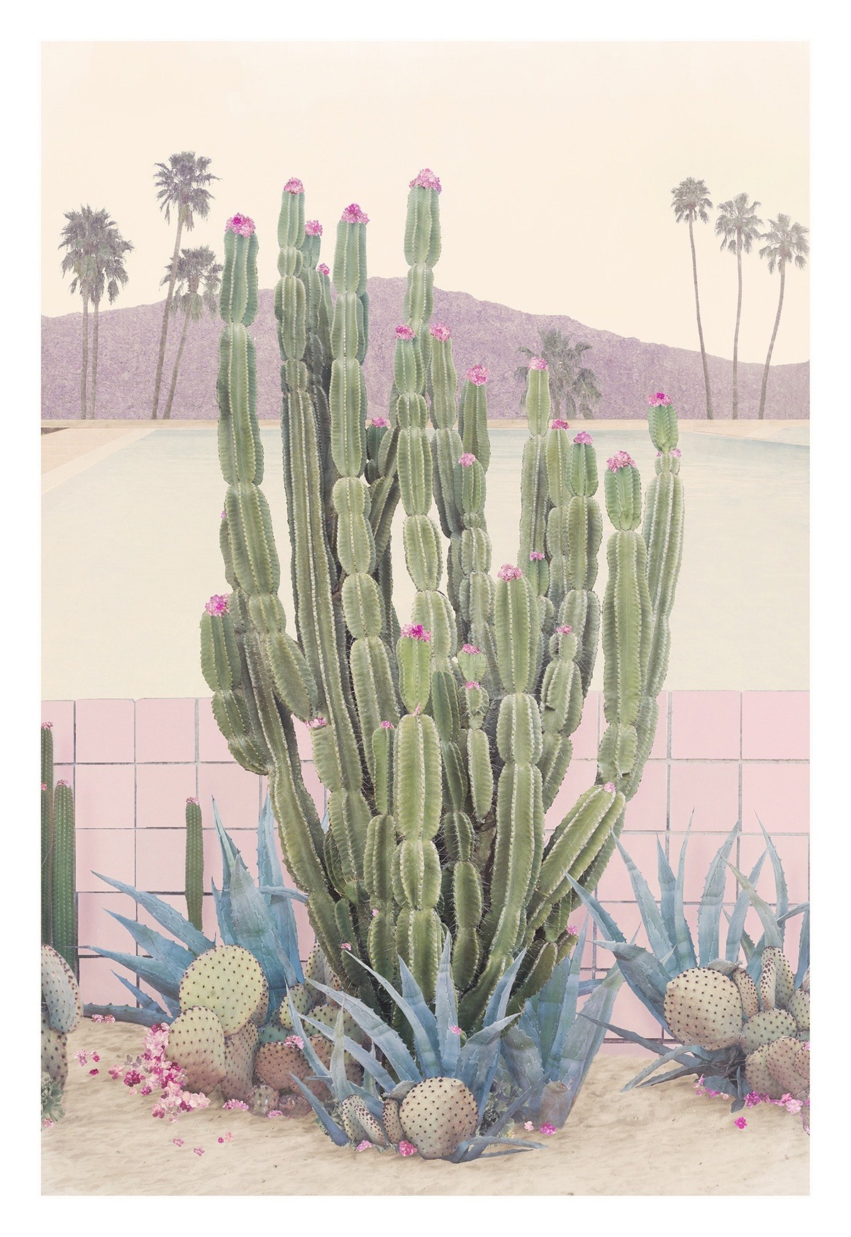 Cactus Springs by Nadia Attura | Buy Art Online | Rise Art