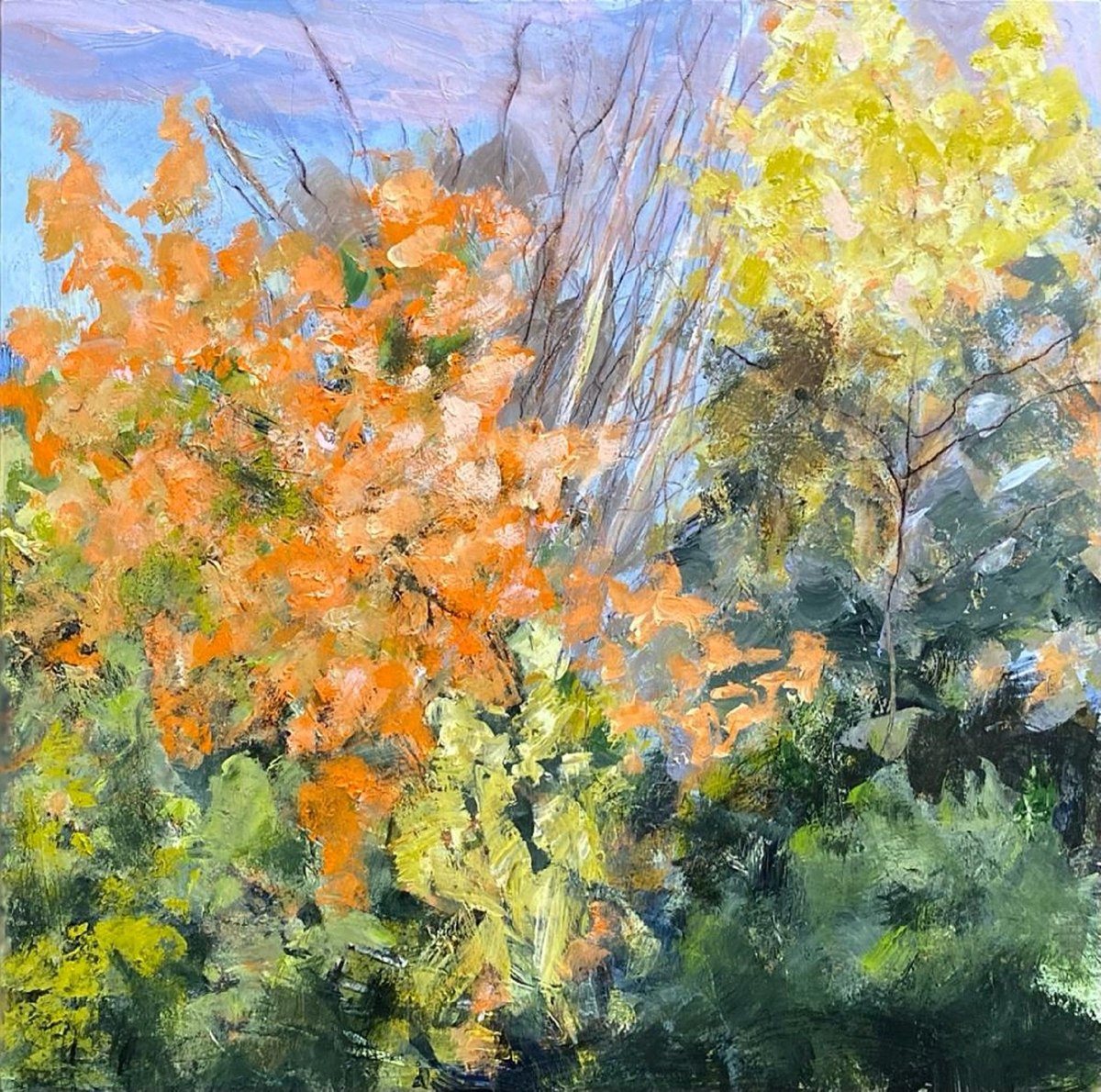 Last Light from the Studio Window by Nikki Wheeler | Buy Art Online ...