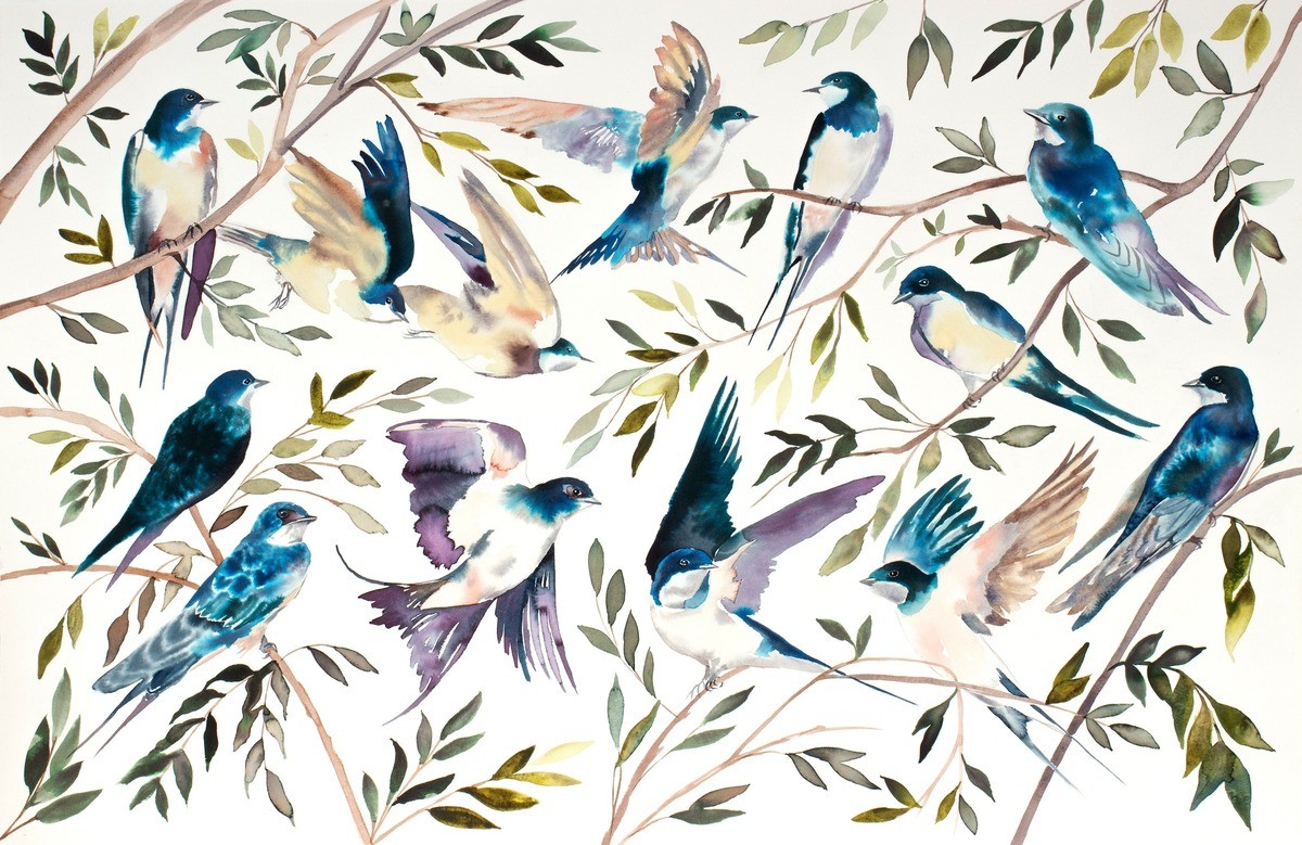 Tree Swallows par Elizabeth Becker | Acheter de l'art en ligne | Rise Art
