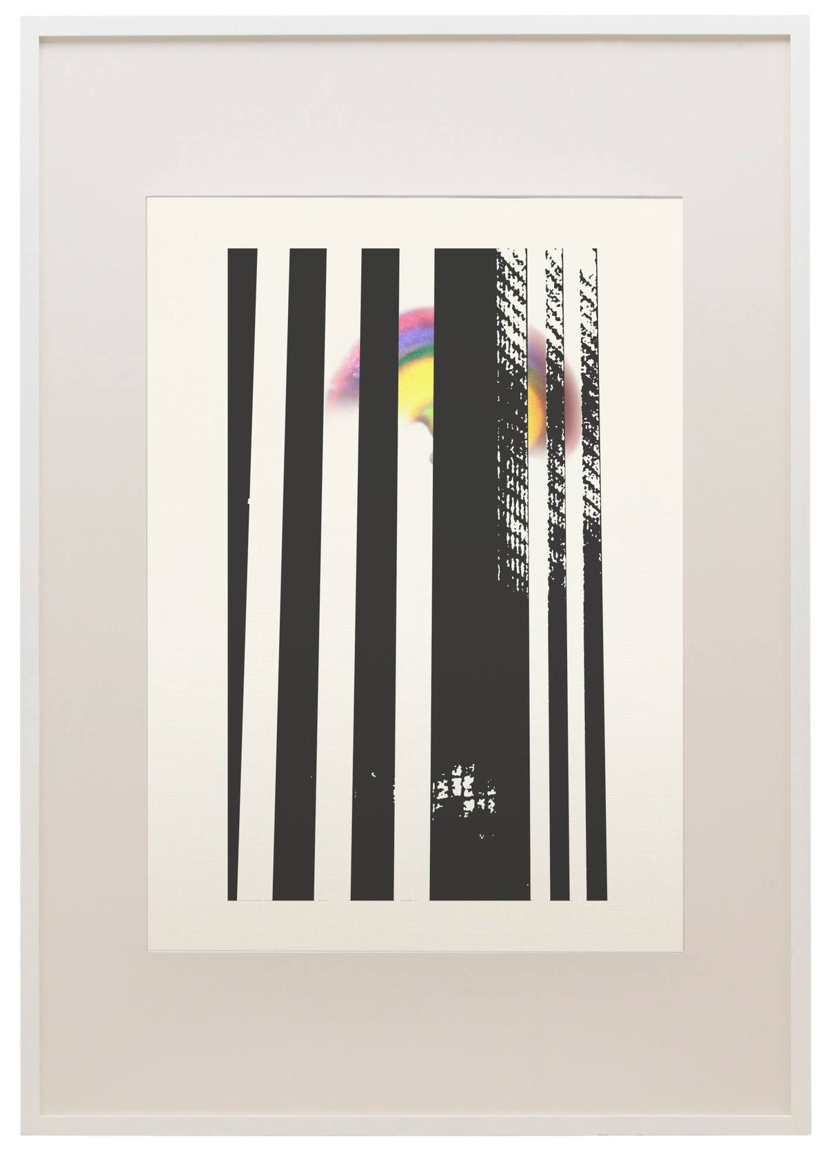 Galapagos IV by Jaykoe | Buy Art Online | Rise Art