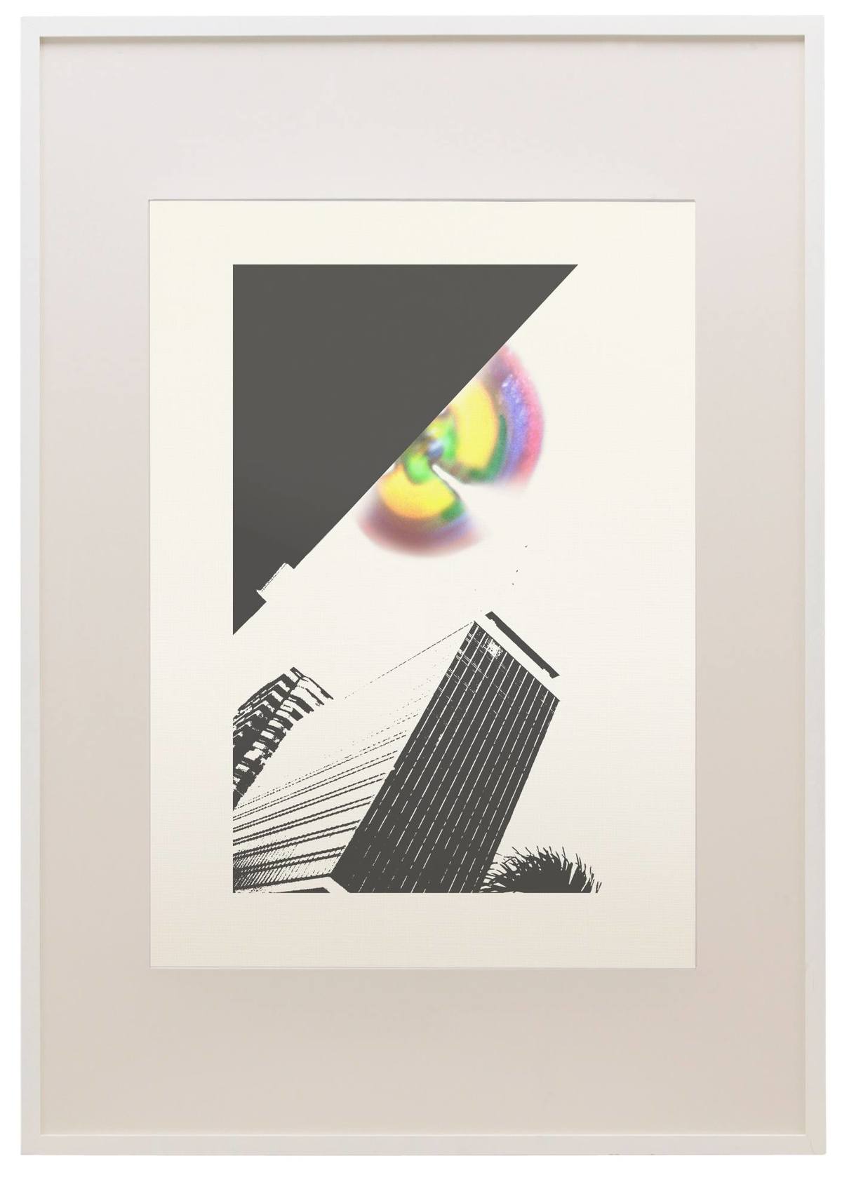 Galapagos V by Jaykoe | Buy Art Online | Rise Art