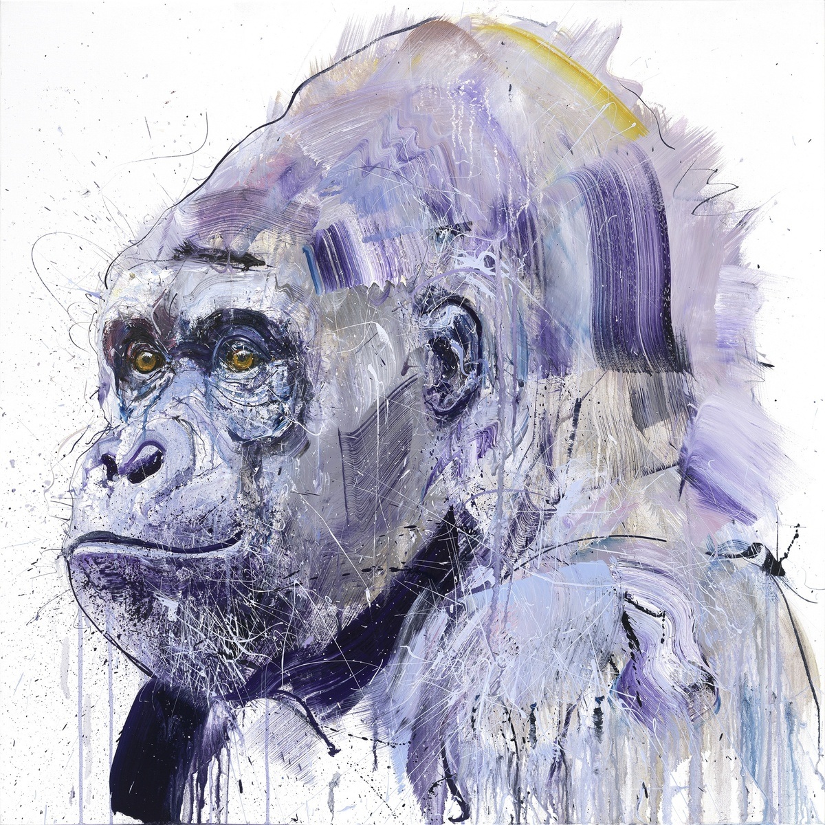 Silverback VII by Dave White | Buy Art Online | Rise Art