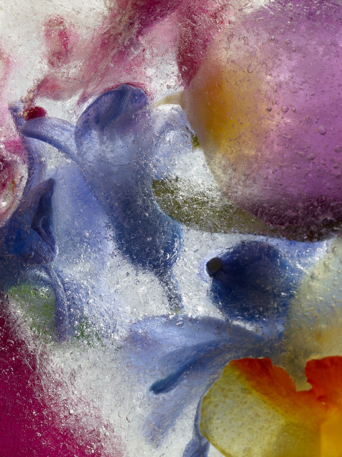 HIBERNATION XI by Andrea Zvadova | Buy Art Online | Rise Art