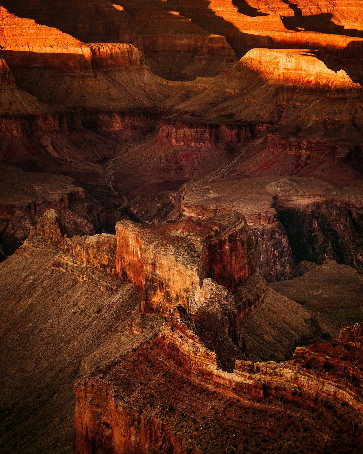 Grand Canyon gorge par Andrew soria | Acheter de l'art en ligne | Rise Art