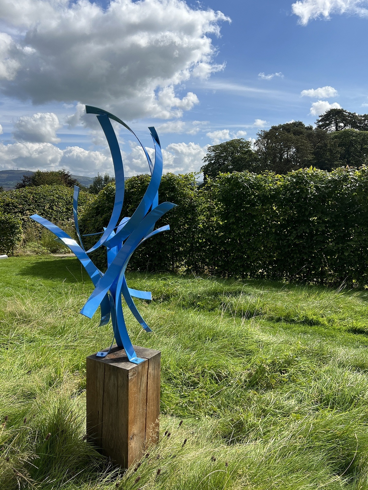 Downy by Gareth Griffiths | Buy Art Online | Rise Art