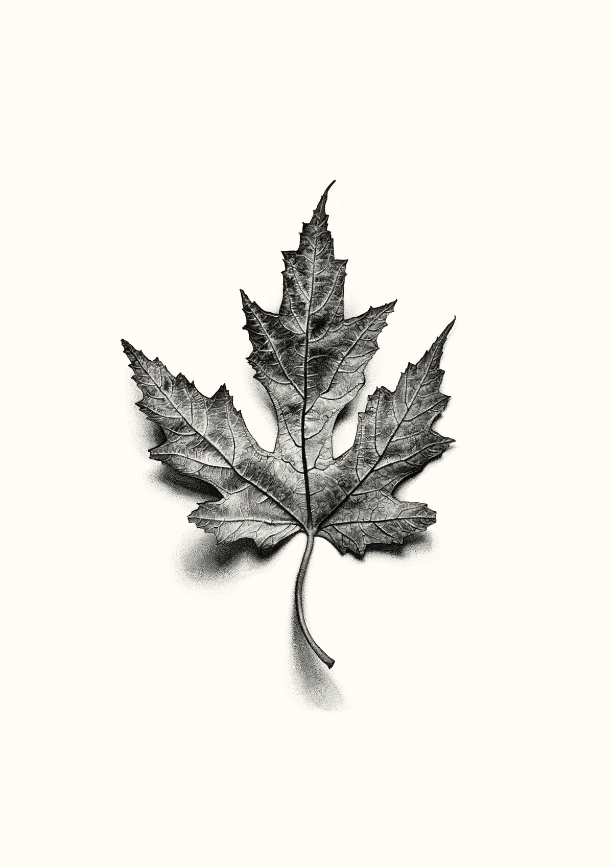 Leaf par Louis Savage | Acheter de l'art en ligne | Rise Art