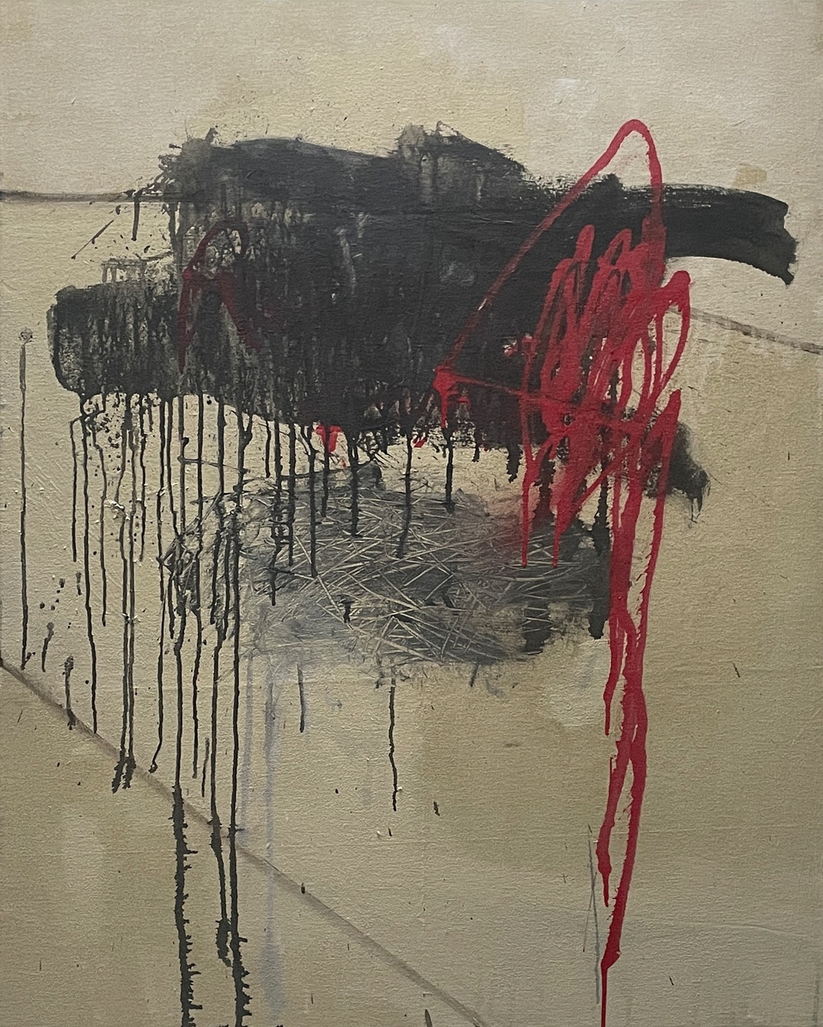 Act all Shy by Tim Fawcett | Buy Art Online | Rise Art