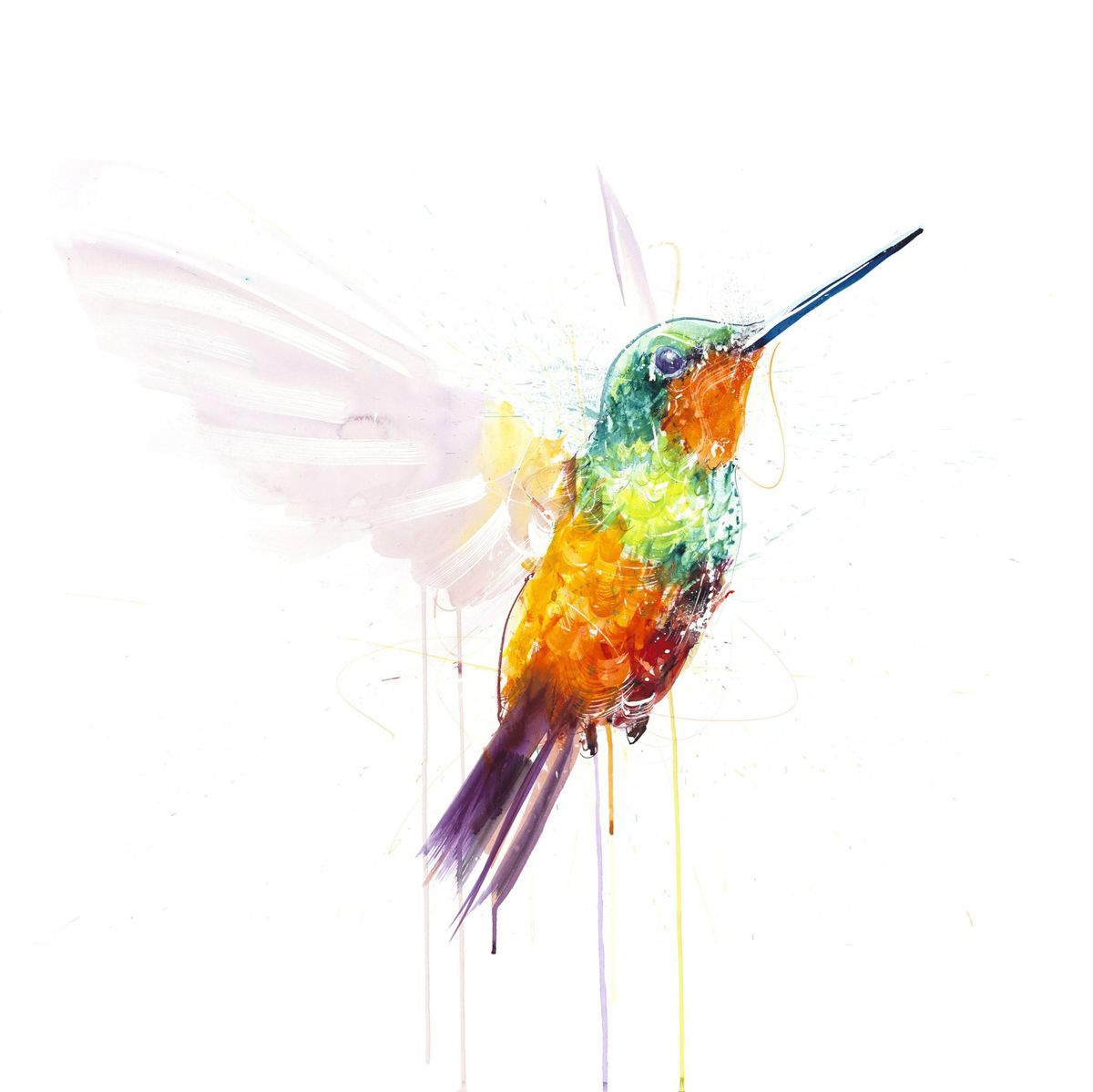 Hummingbird IX Hand Finished Artist Proof with Gold Leaf by Dave White ...