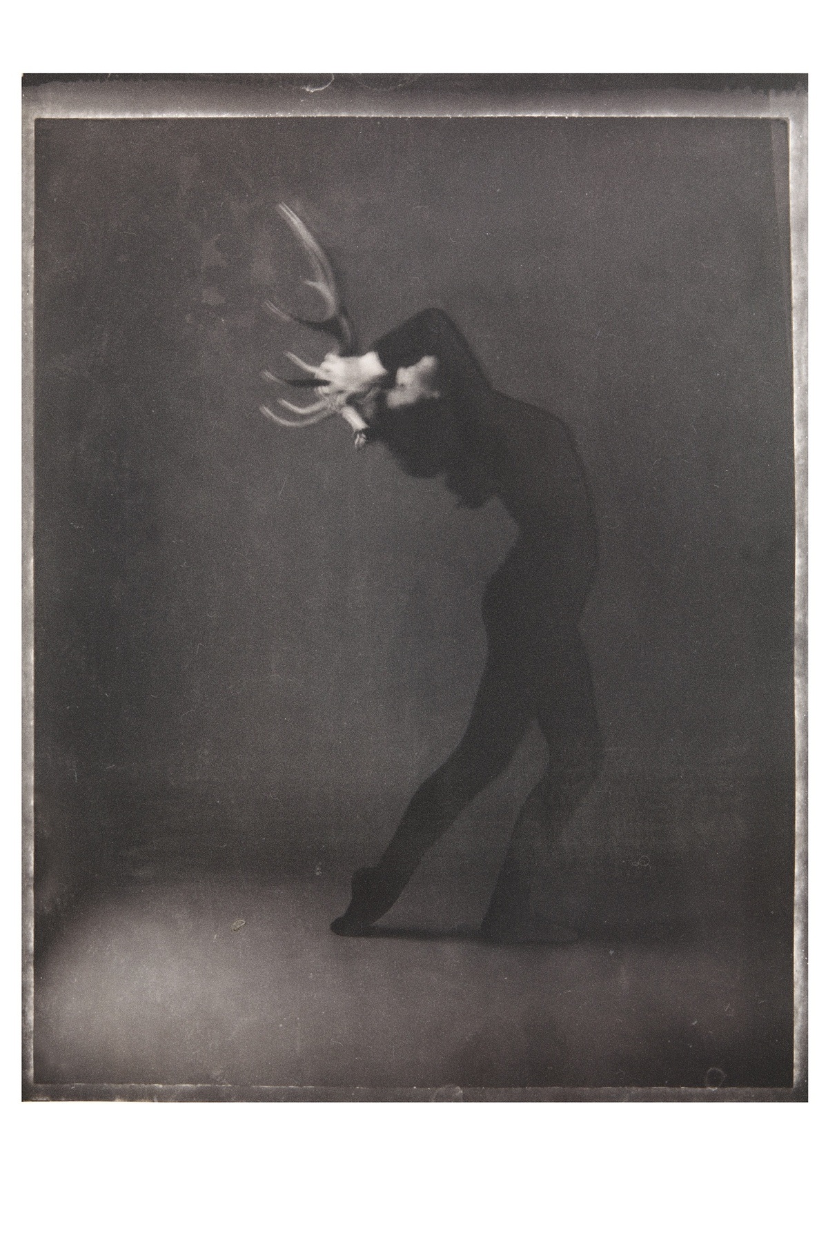 Antler1 by Martin Thompson | Buy Art Online | Rise Art