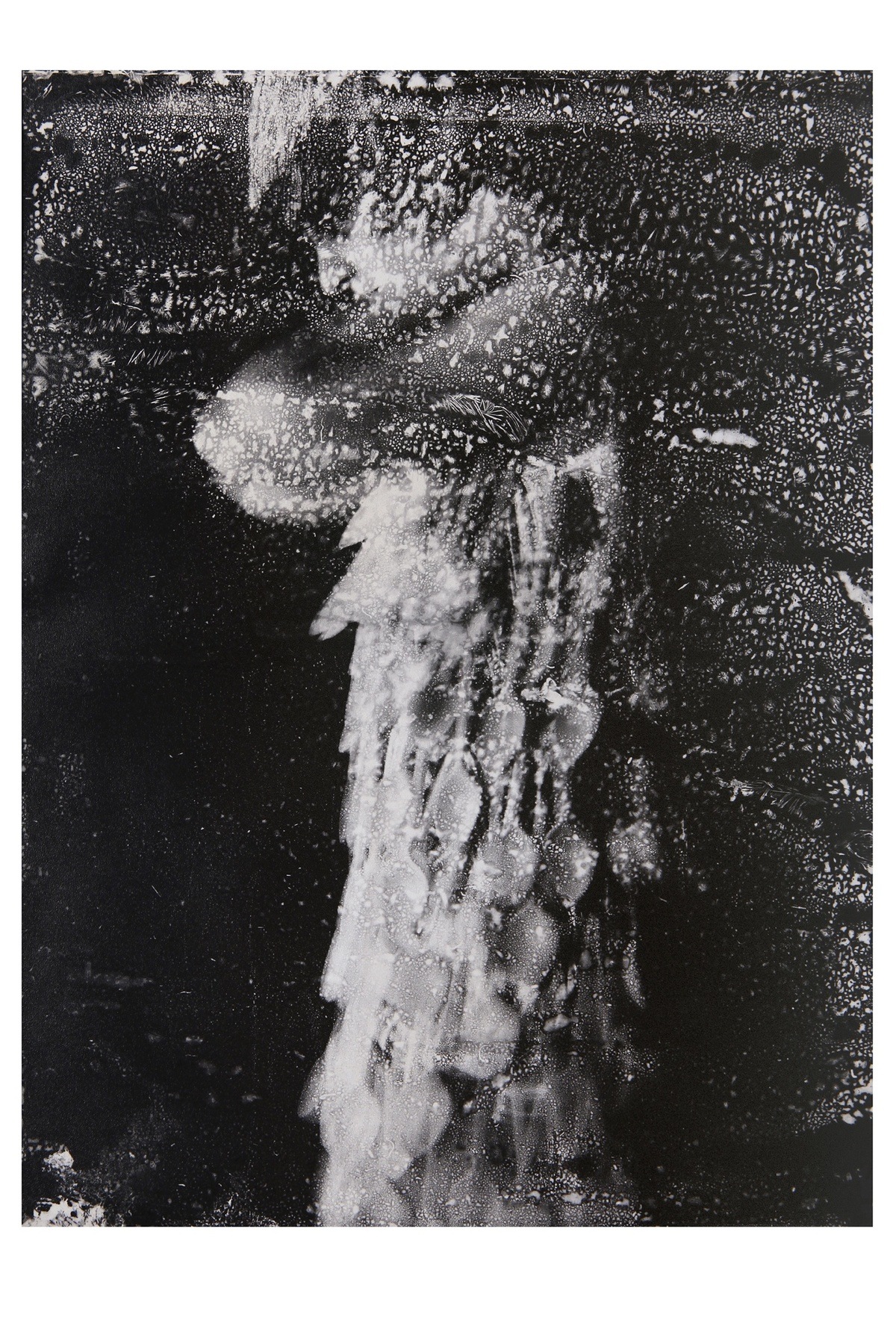 Spoons1 by Martin Thompson | Buy Art Online | Rise Art